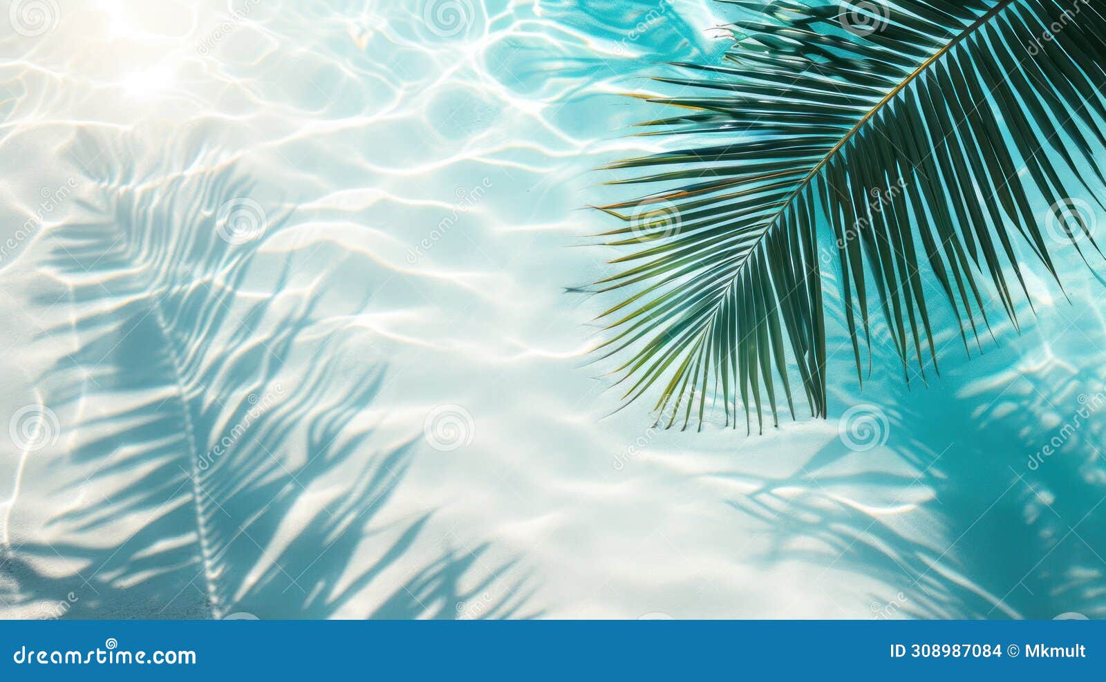 Reflection of Palm Tree in Water Stock Photo - Image of vacation, pool ...