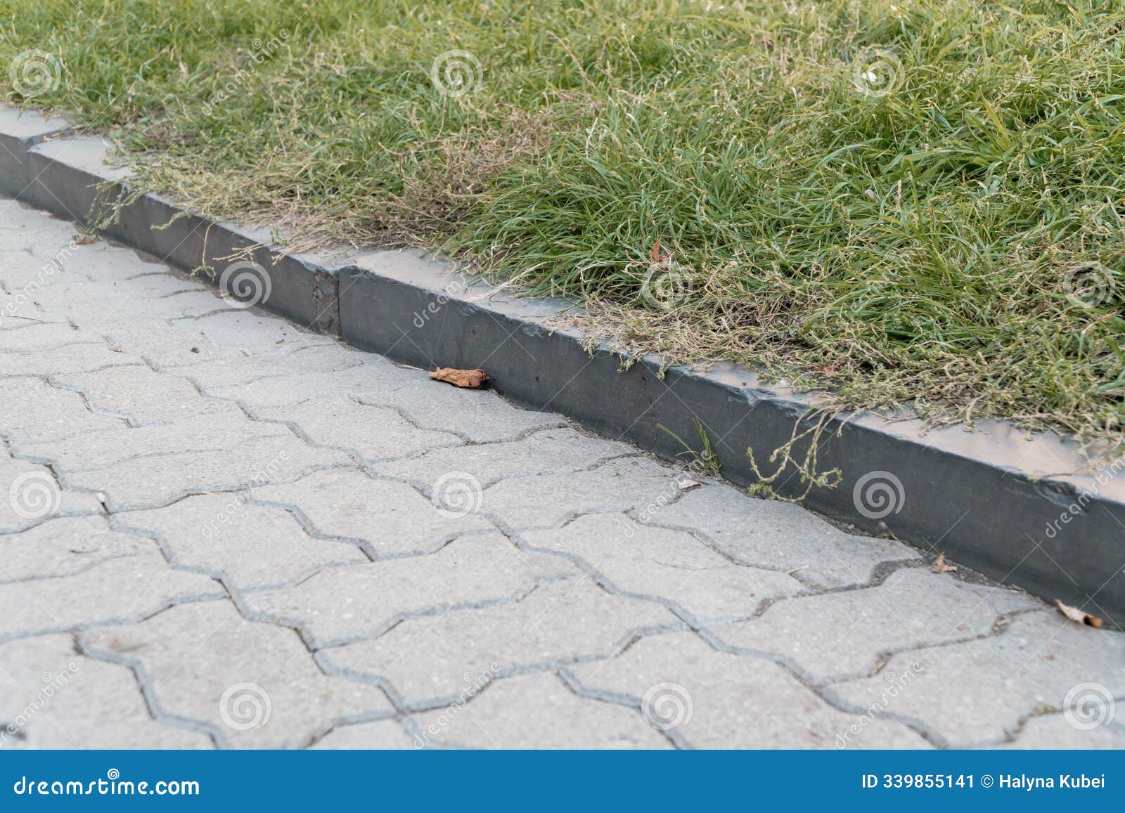 A Serene Intersection of Grassy Edge and Paved Pathway Stock Image ...