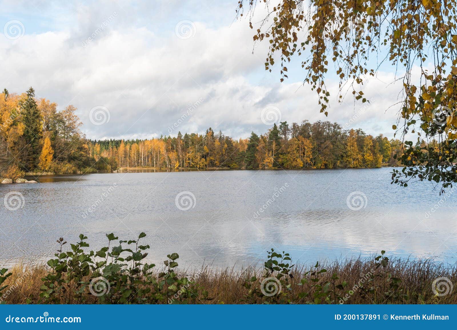 Serene Lake View in Fall Season Stock Image - Image of orange, nature ...