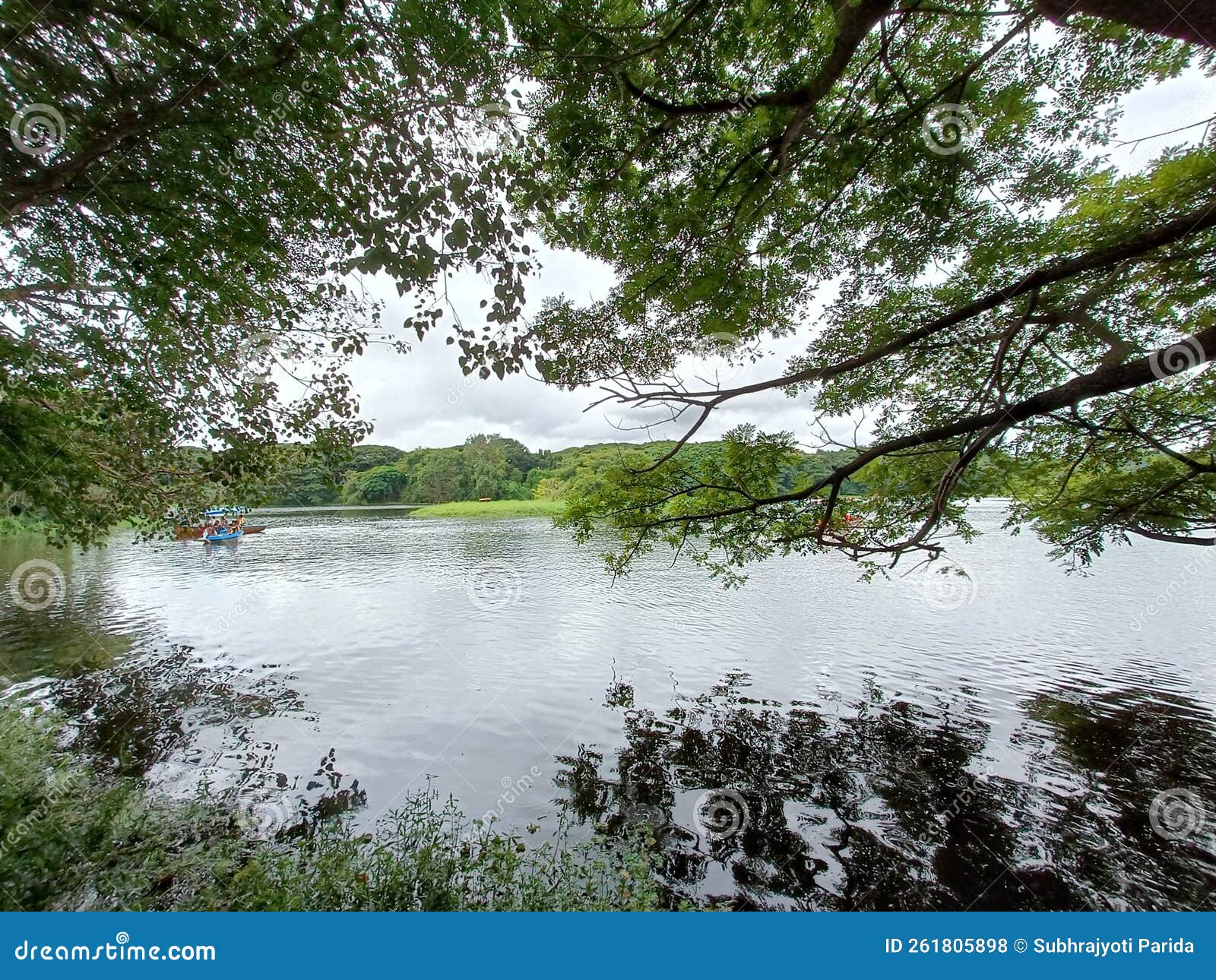 Serene Lakefront at Karanji Lake, Mysore Stock Photo - Image of mysore ...