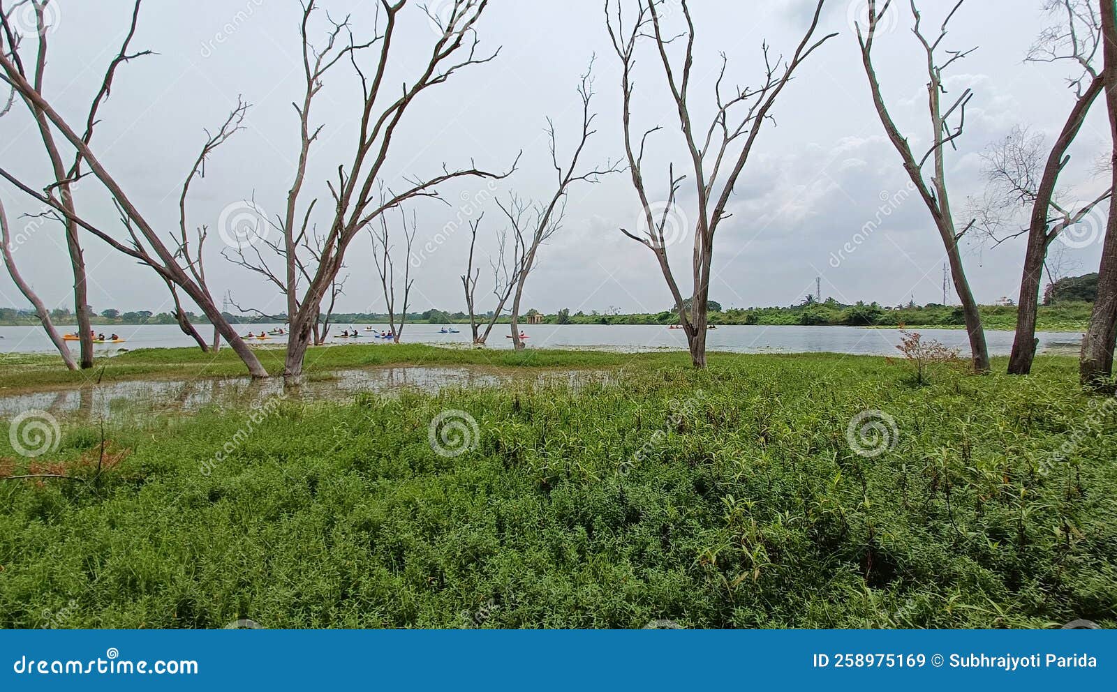 Serene Lakefront at Varuna, Near Mysore Stock Image - Image of awesome ...