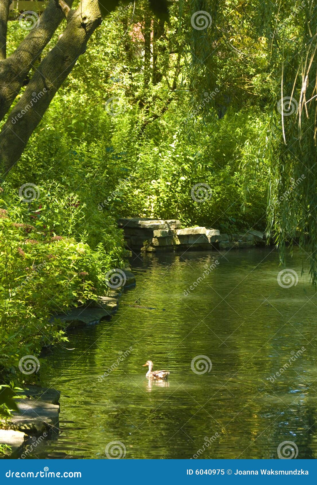 Serene landscape stock image. Image of rocks, landscape - 6040975