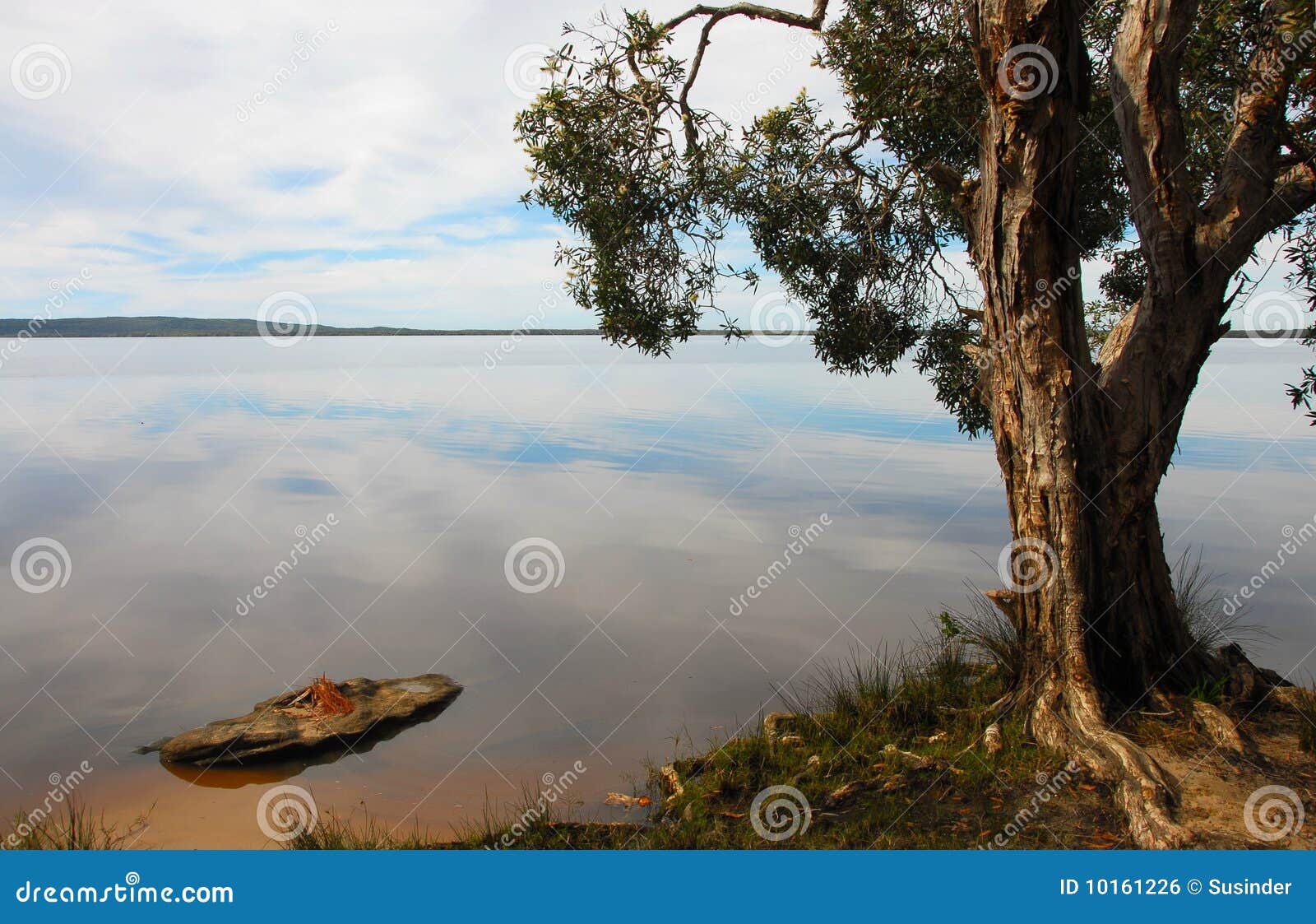 Serene Landscape with a Tree on a Lake Stock Photo - Image of tree ...
