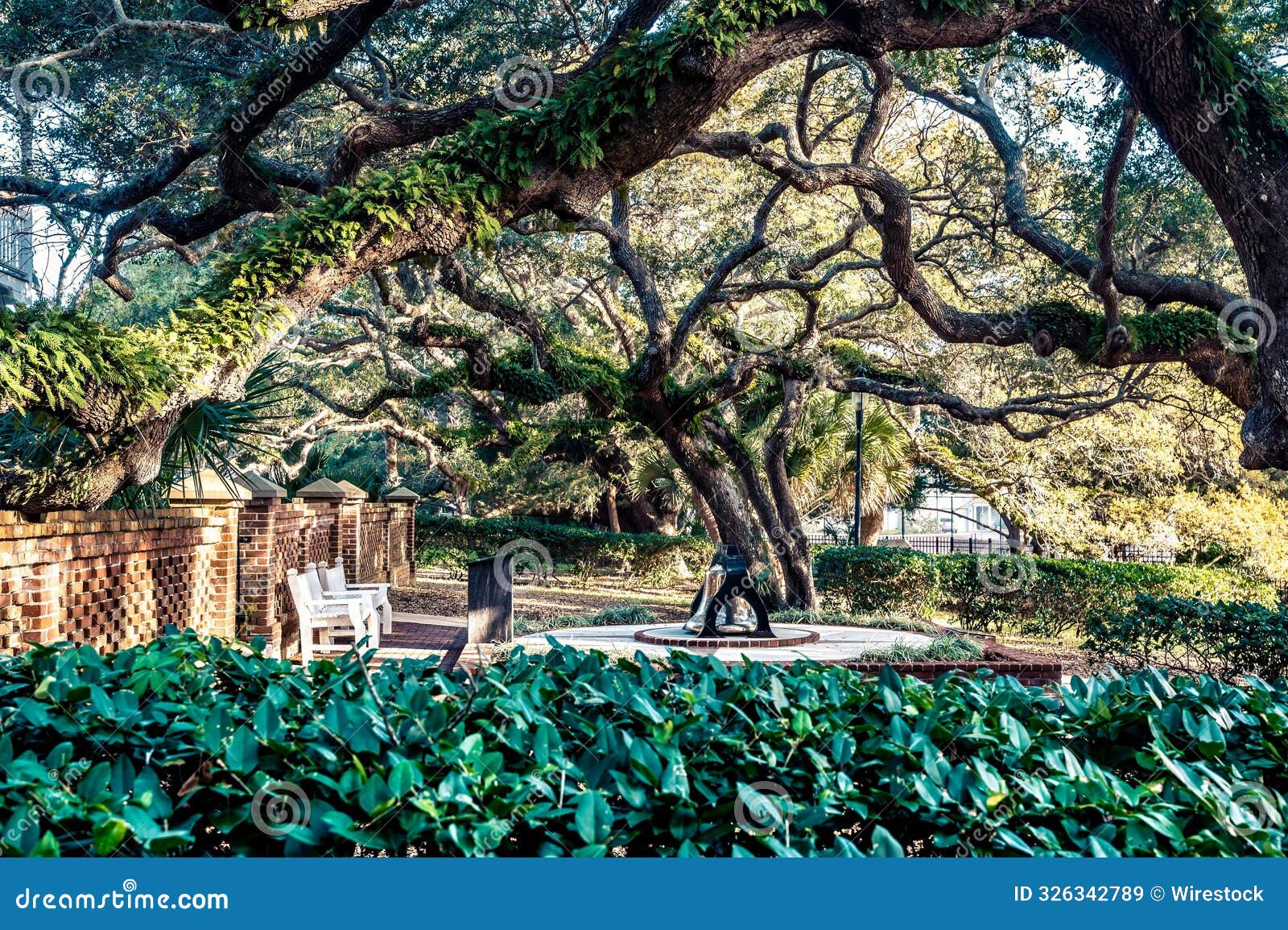 Serene Local Park Setting with Large, Sprawling Trees and a Seating ...