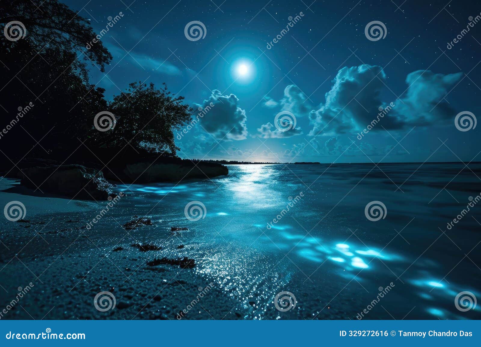 A Serene Moonlit Scene Featuring Bioluminescent Plankton at the ...