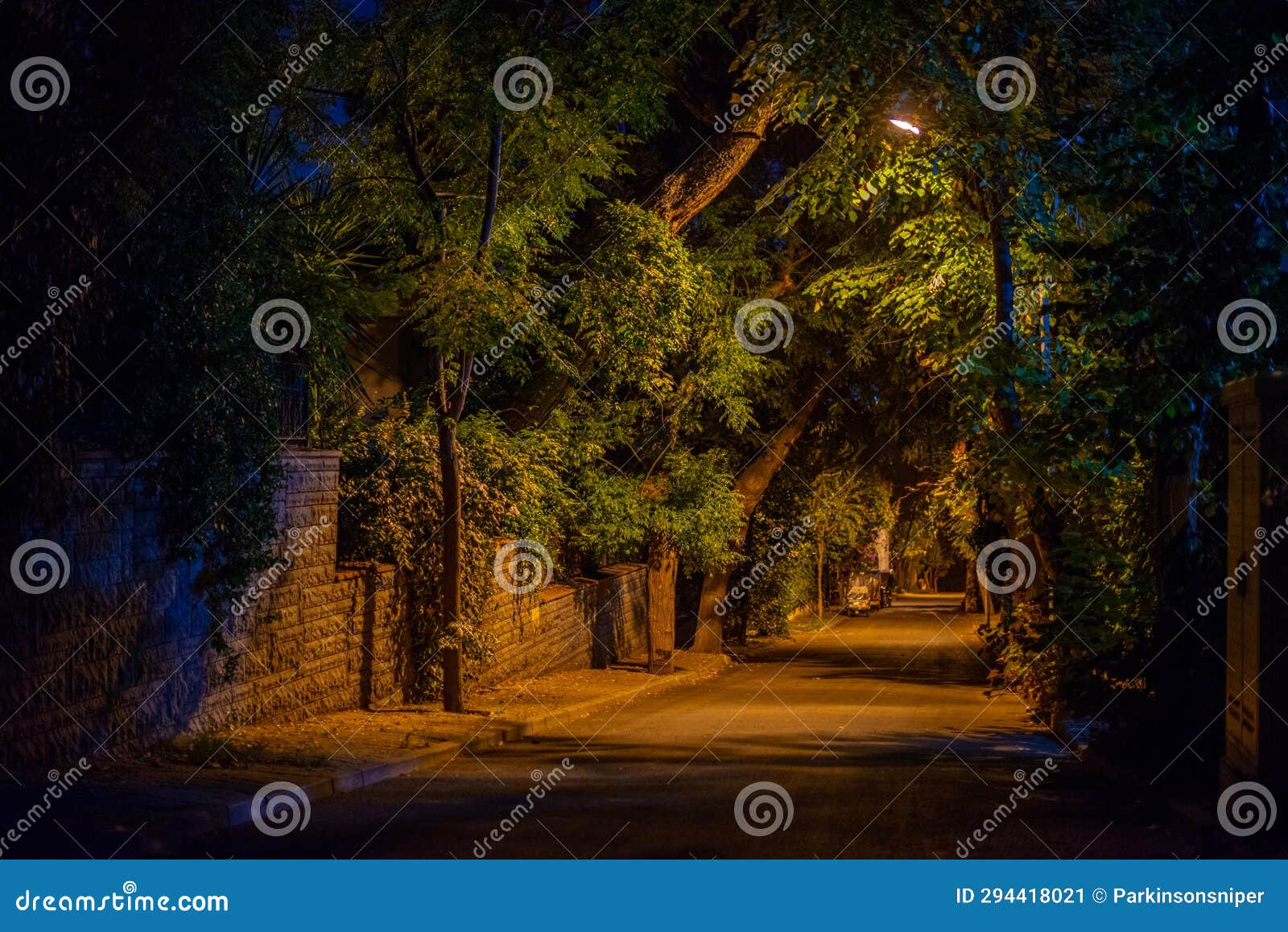Serene Nighttime Alleyway stock image. Image of warm - 294418021