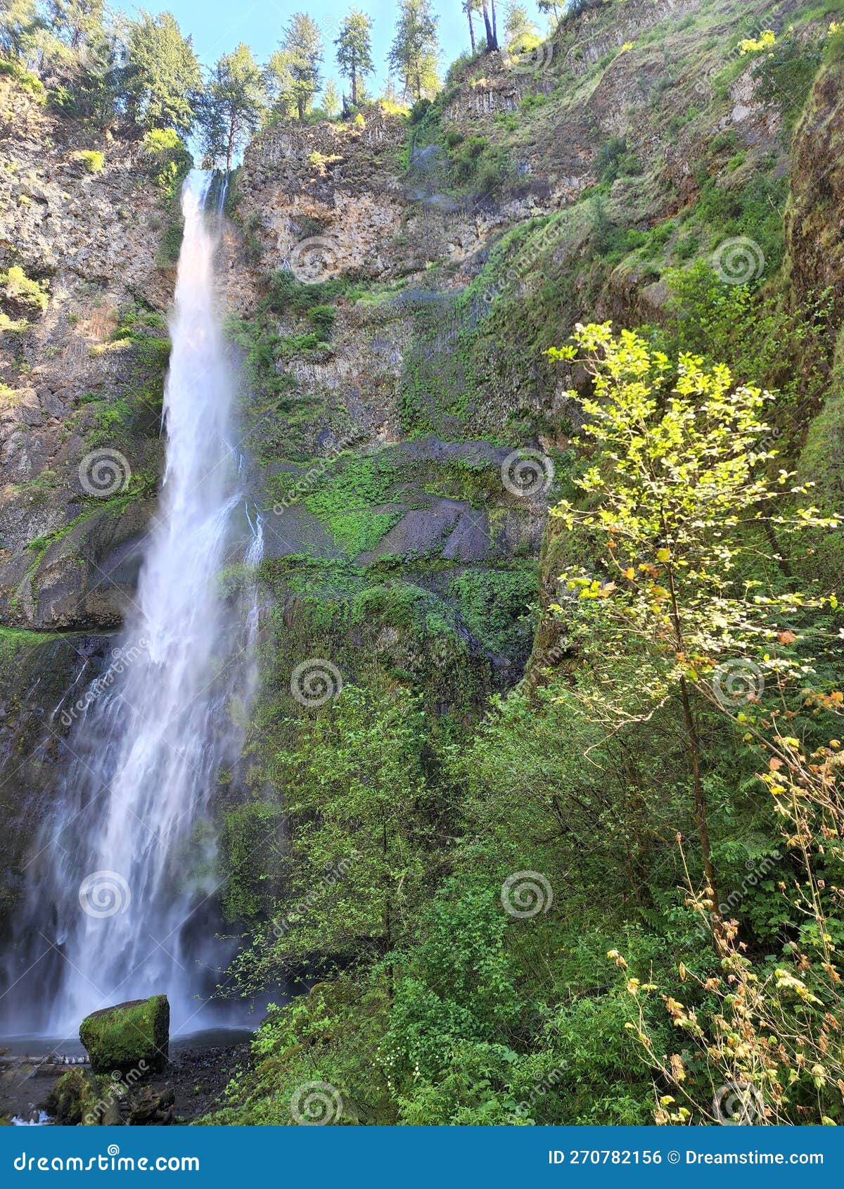 Serene oregon waterfall stock photo. Image of waterfall - 270782156