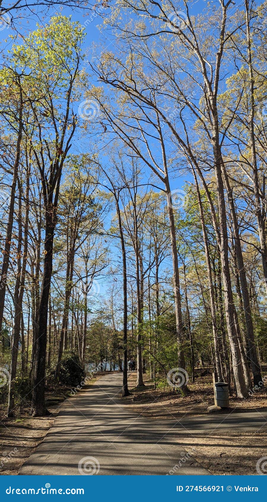 Serene Path Towards Peace and Calm Stock Image - Image of peace, serene ...