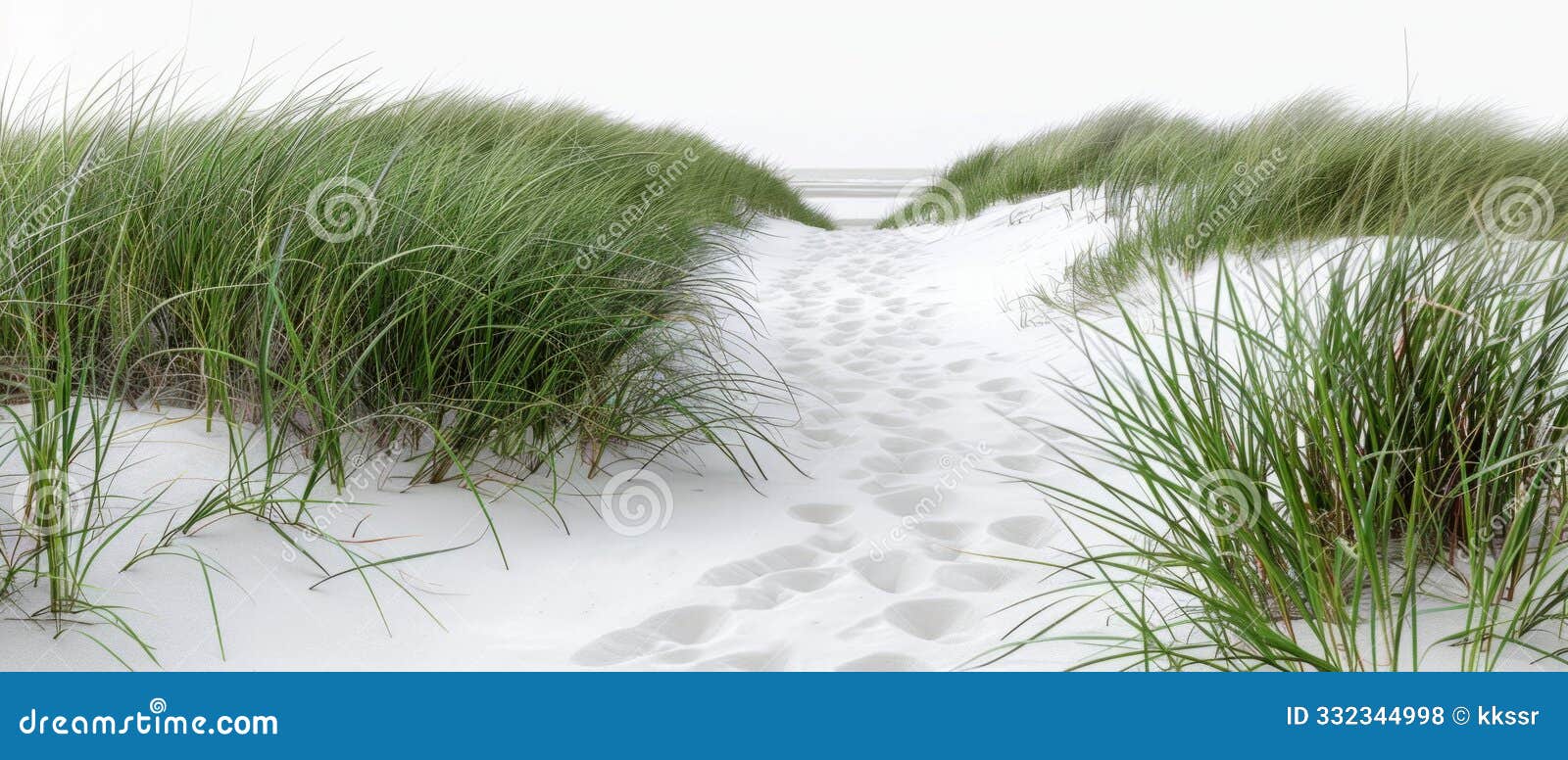 Serene Pathway through Lush Grass Field for Peaceful Walks in Nature ...