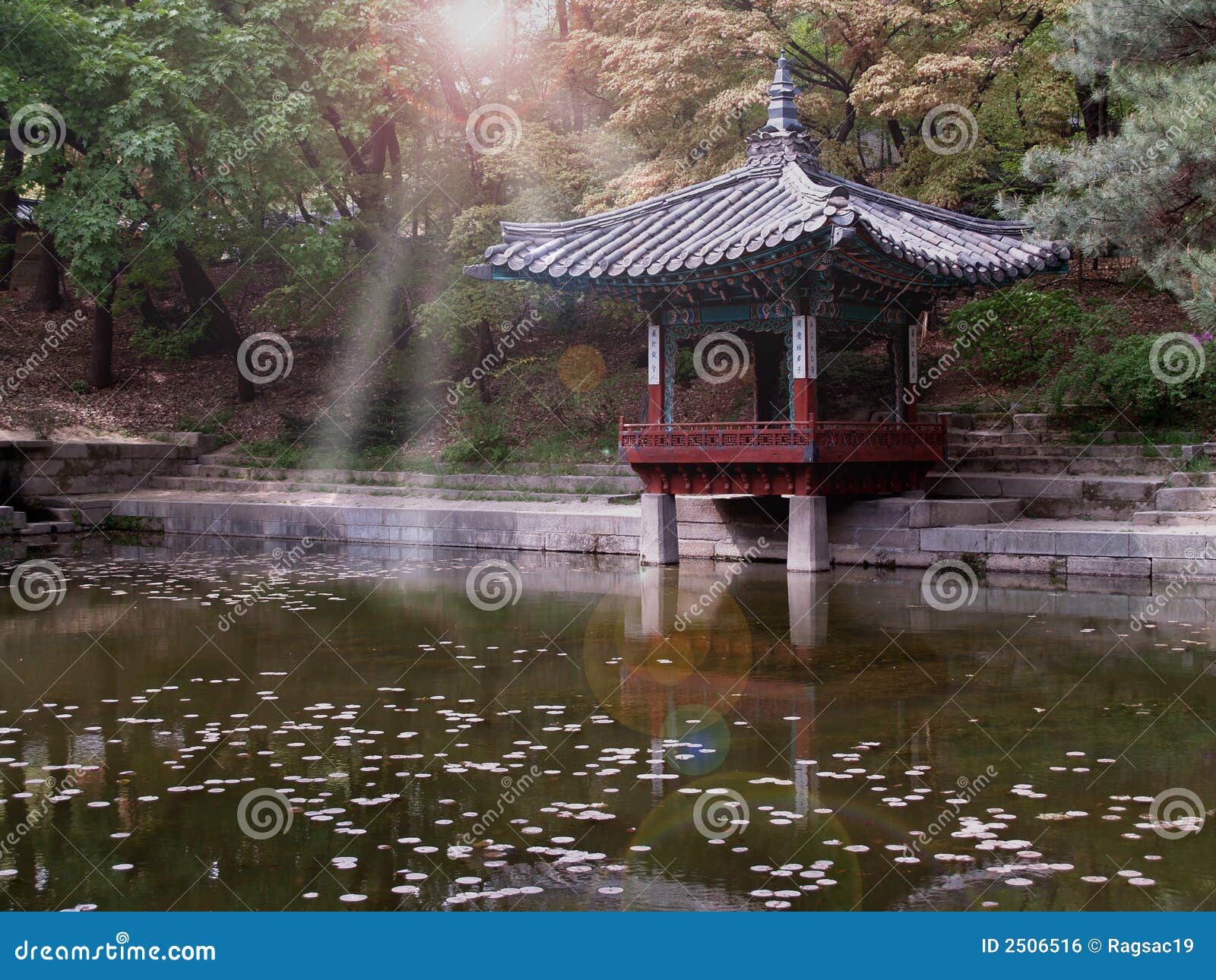 Serene Reflection stock photo. Image of landscaped, design - 2506516