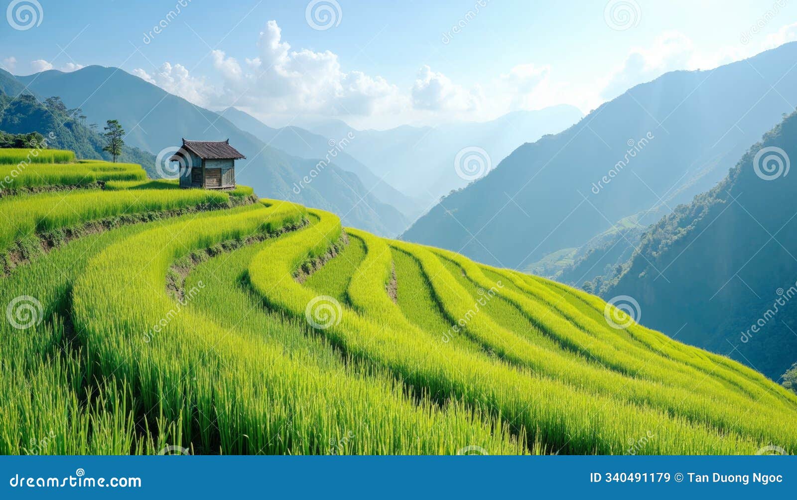 Rice Terraces In Mist Filled Valley With Trees And Buildings. Stock ...