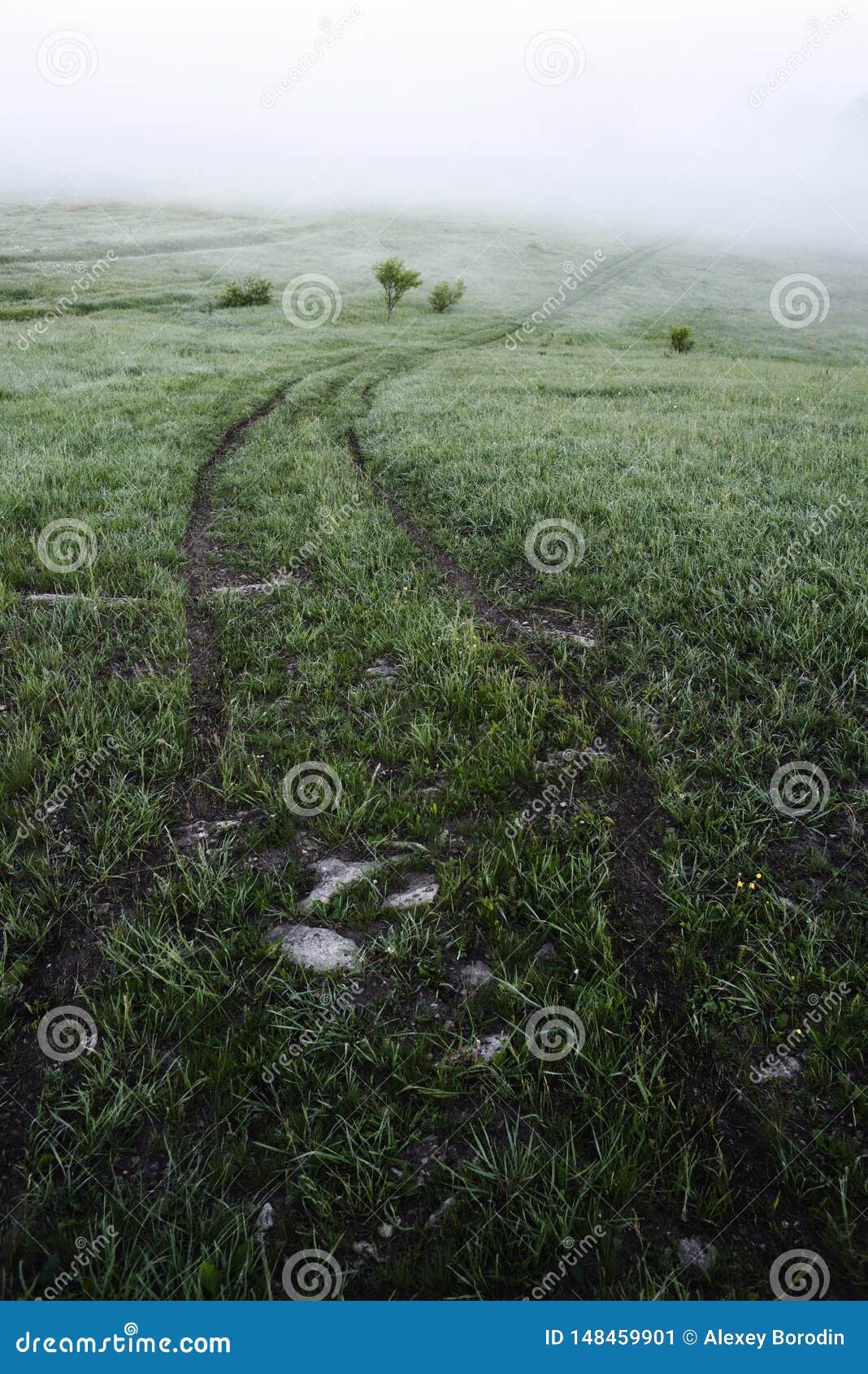 Serene Scene of Empty Road through Green Grass in Morning Mist Stock ...
