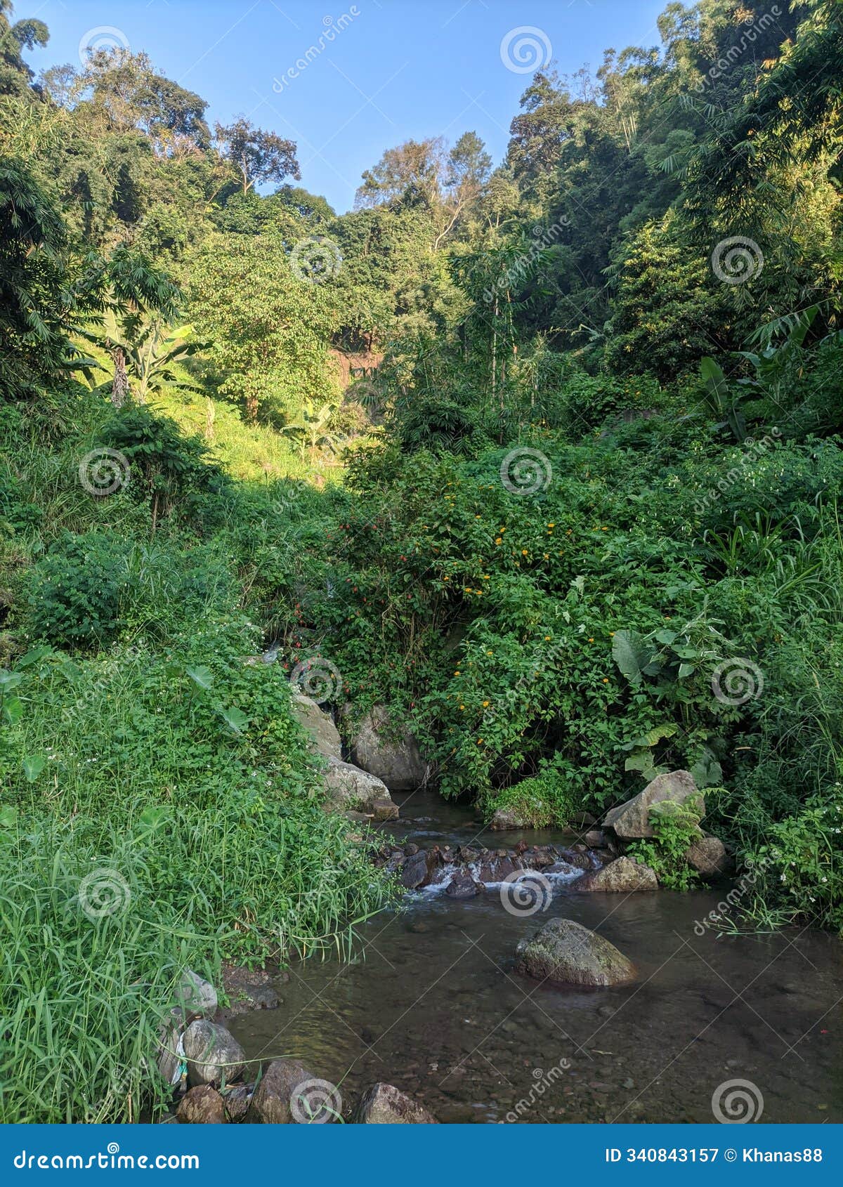 Tranquil Escape: Finding Peace In Ban Rak Thai Lake, Mae Hong Son Loop ...
