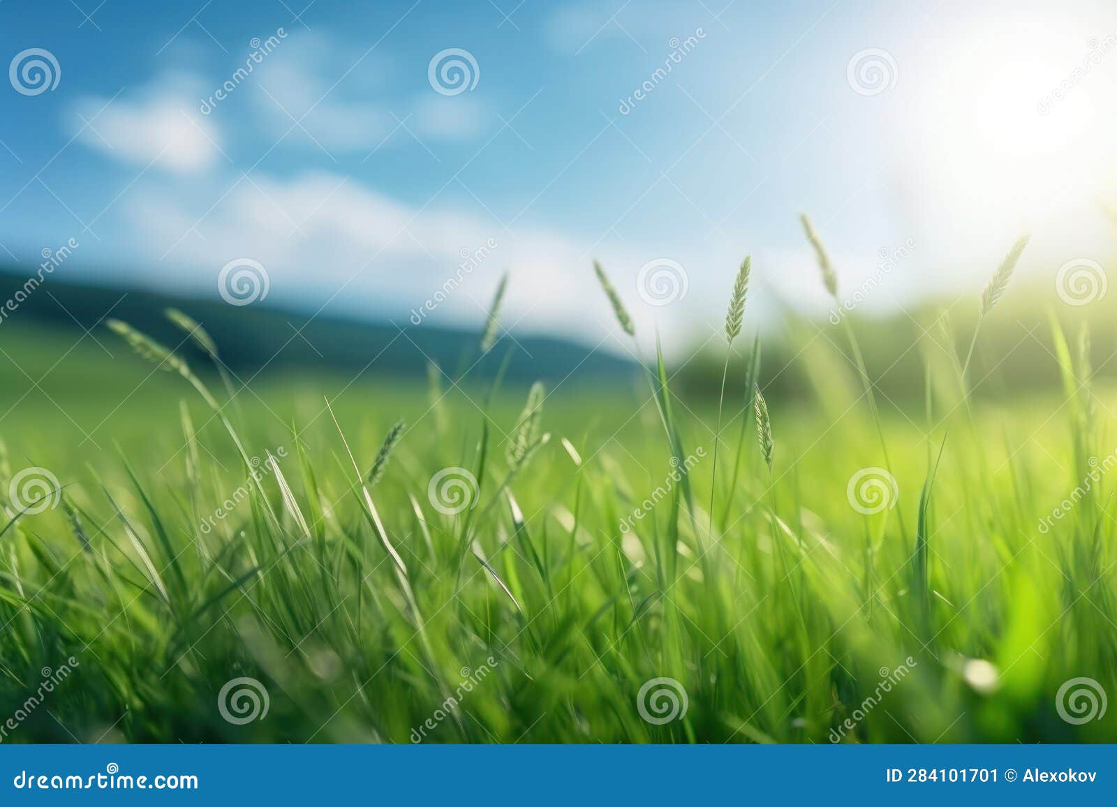 Serene Spring Landscape with Green Field and Blue Sky Stock ...