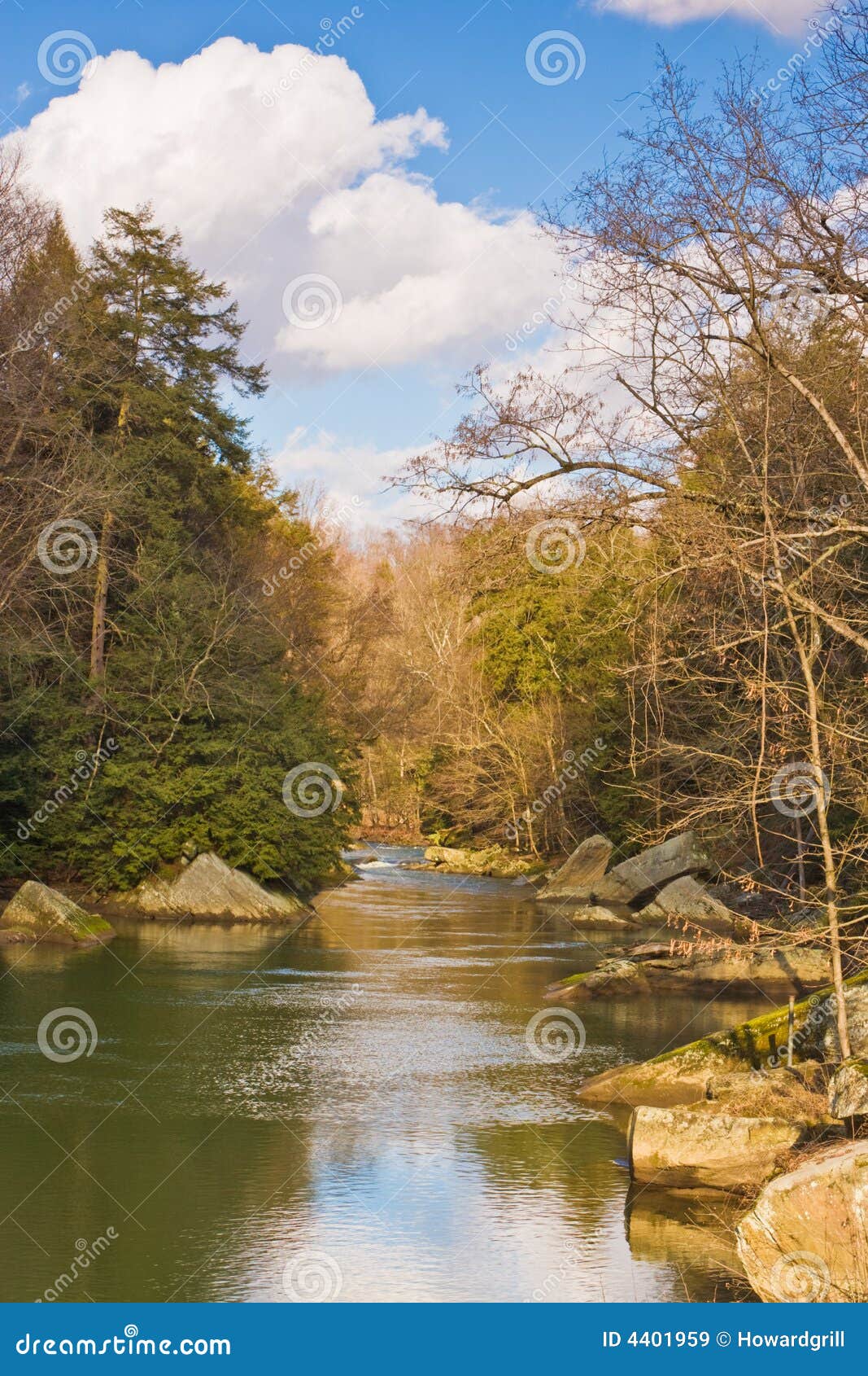 Serene Stream in Woods stock image. Image of reflection - 4401959