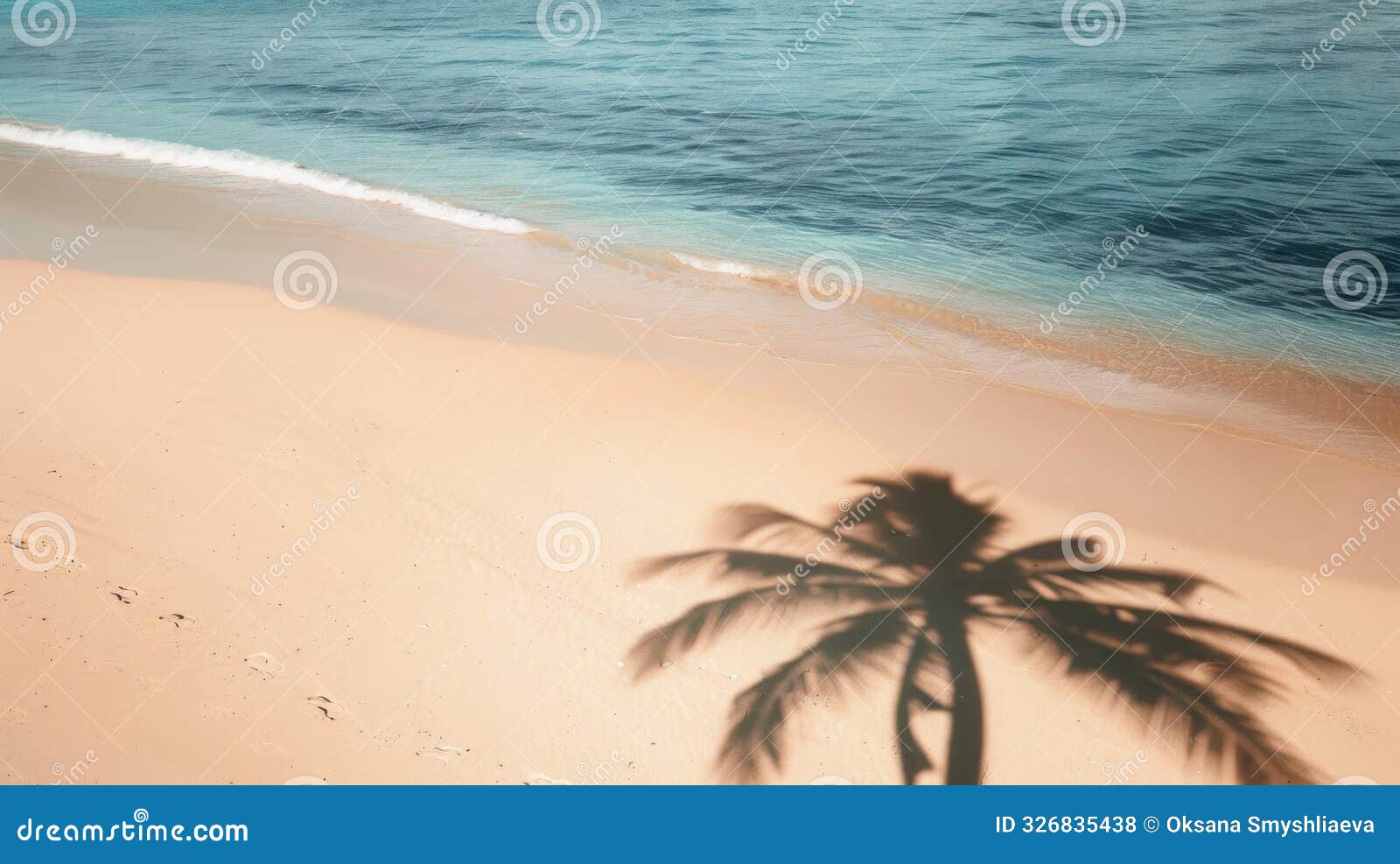 Serene Tropical Beachscape with Palm Tree Shadow Stock Photo - Image of ...