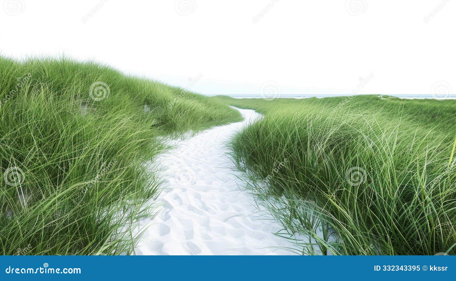 Lush Field Grape Background Royalty-Free Cartoon | CartoonDealer.com ...