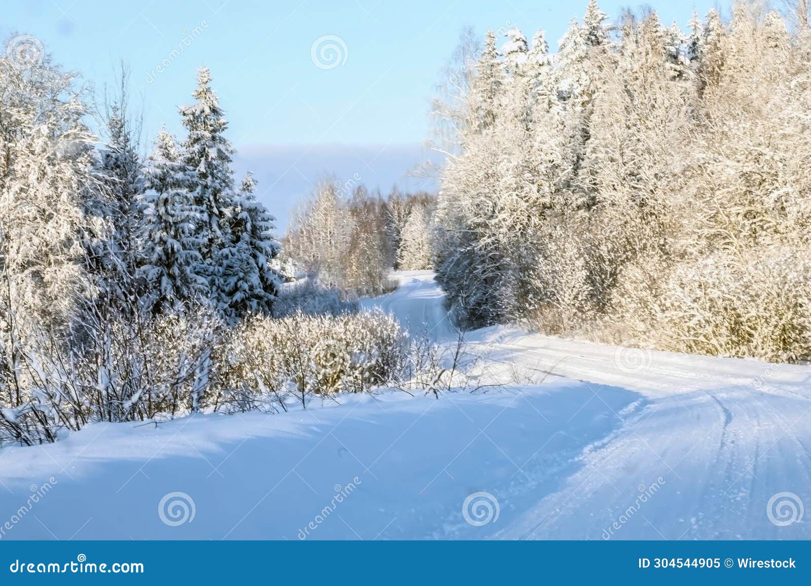 A Long Snow Covered Path in Front of a Lot of Trees Stock Image - Image ...