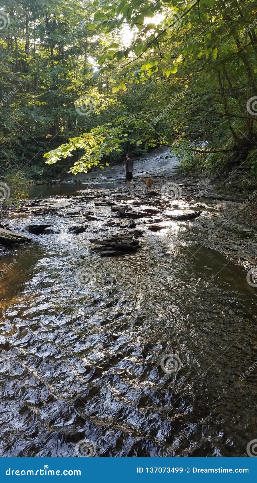 Peaceful babbling brook editorial stock image. Image of serenity ...