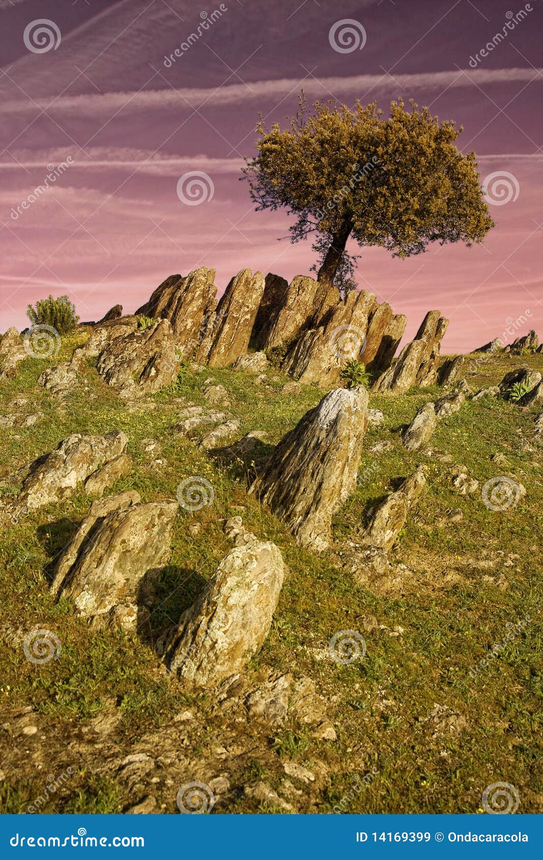 Serenity landscape stock image. Image of protection, relaxation - 14169399