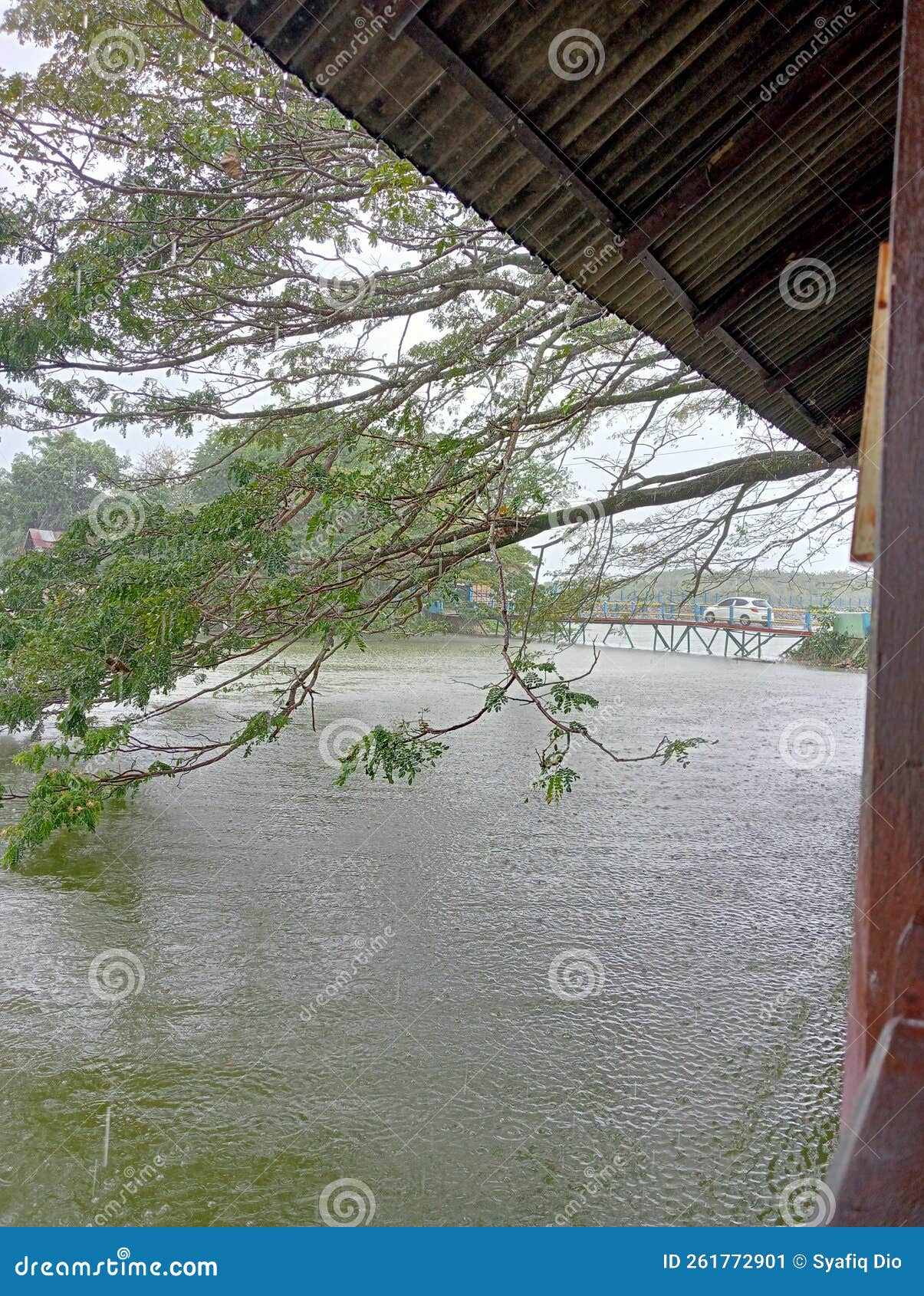 View of the Lake with Overcast and Drizzle Stock Image - Image of ...