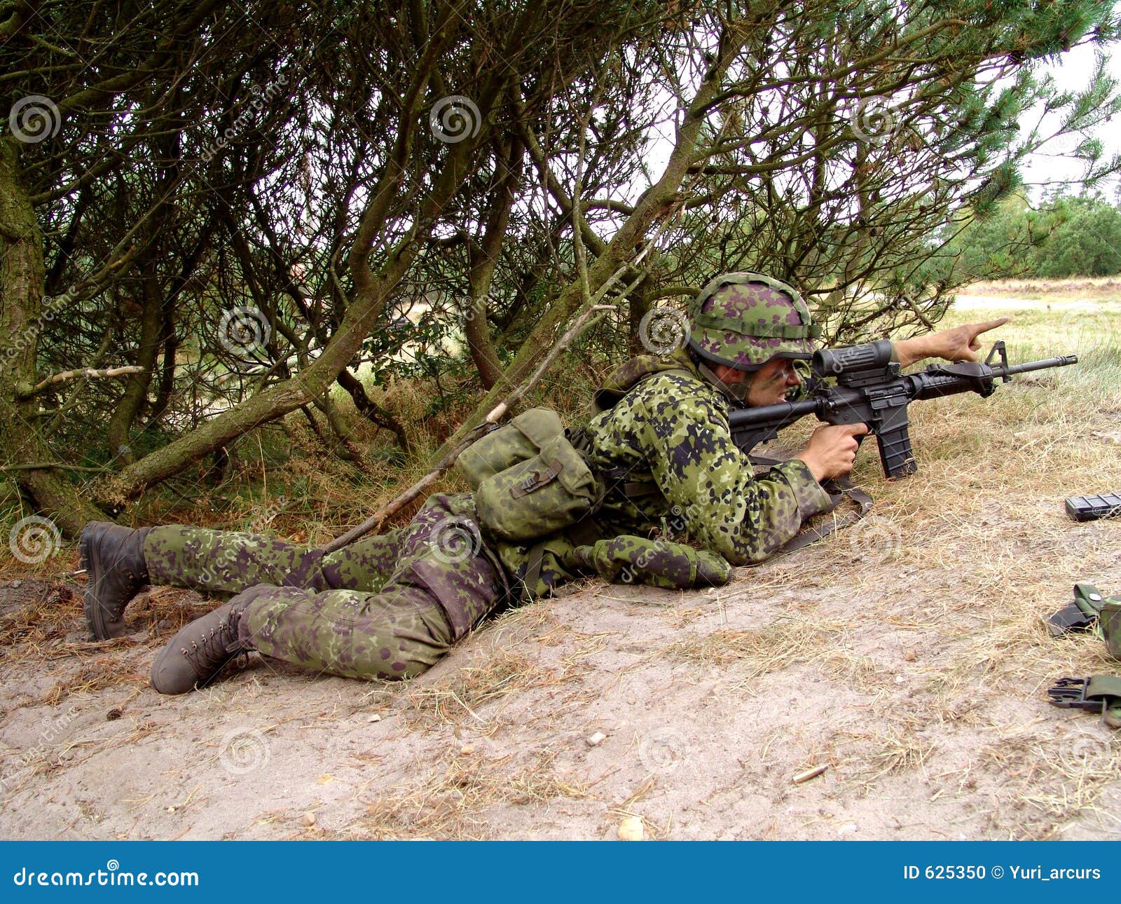 Sergeant Giving Directions for the Suppressing Fire. Stock Photo ...