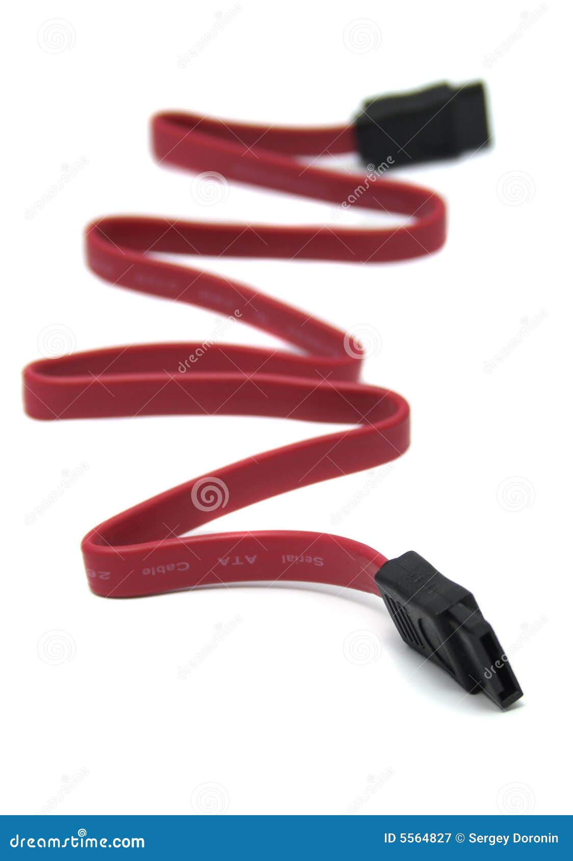 Serial Ata Cable Isolated on White SATA Stock Image - Image of ...