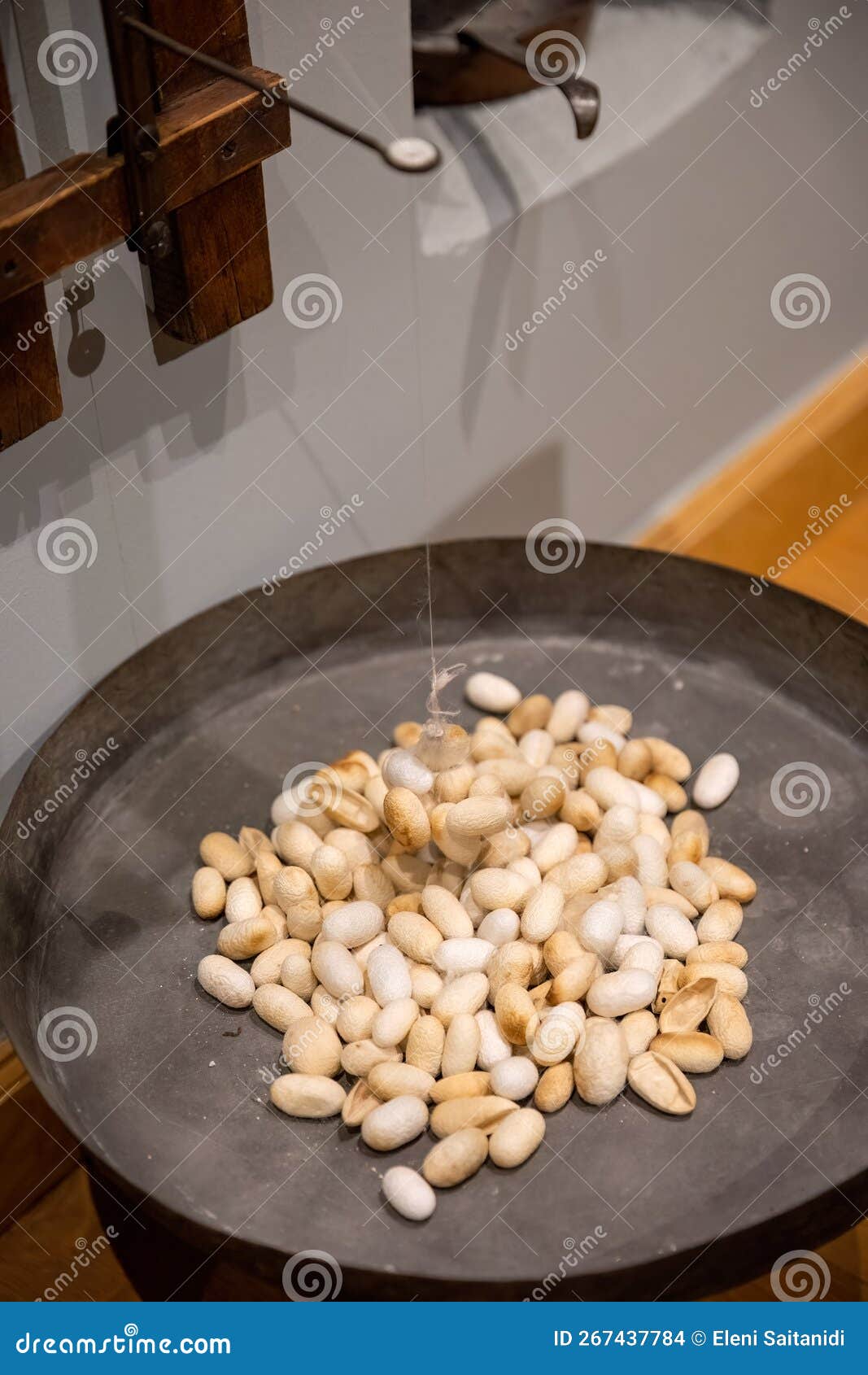 Sericulture Step by Step Silk Production Process Stock Photo - Image of ...