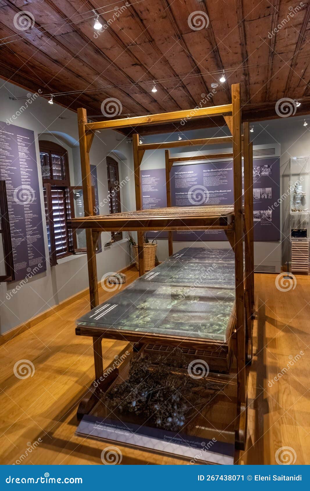 Sericulture Step by Step Silk Production Process Editorial Photo ...