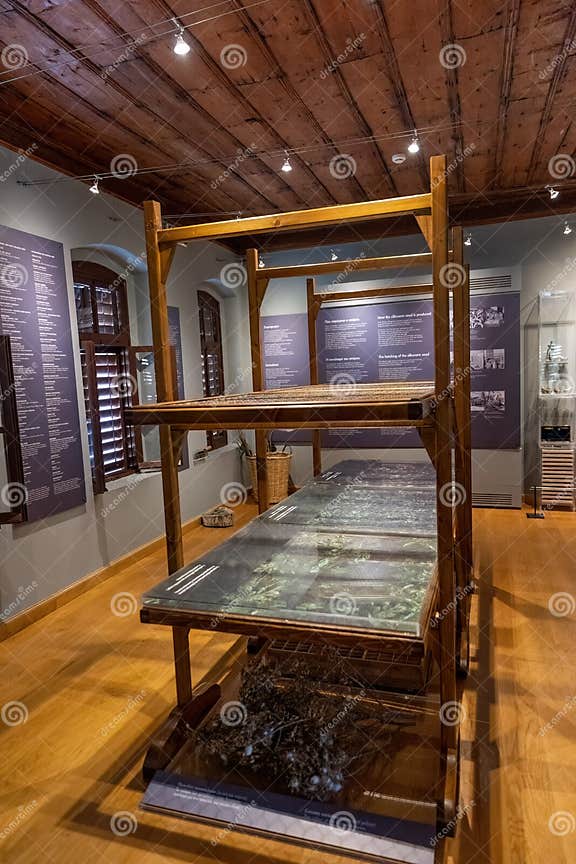 Sericulture Step by Step Silk Production Process Editorial Photo ...