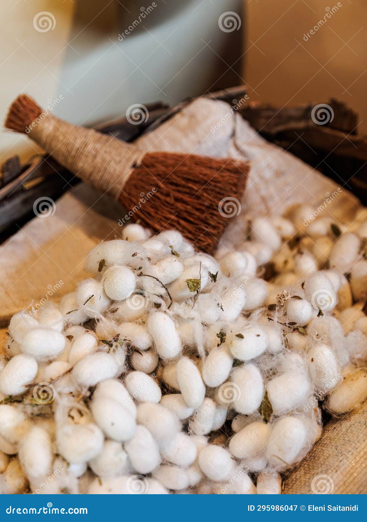 Sericulture Step by Step Silk Production Process in Soufli Evros Greece ...