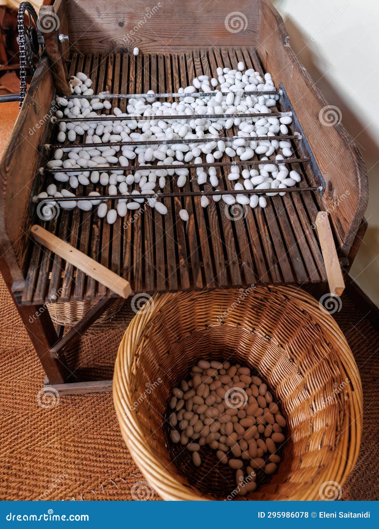 Sericulture Step by Step Silk Production Process in Soufli Evros Greece ...