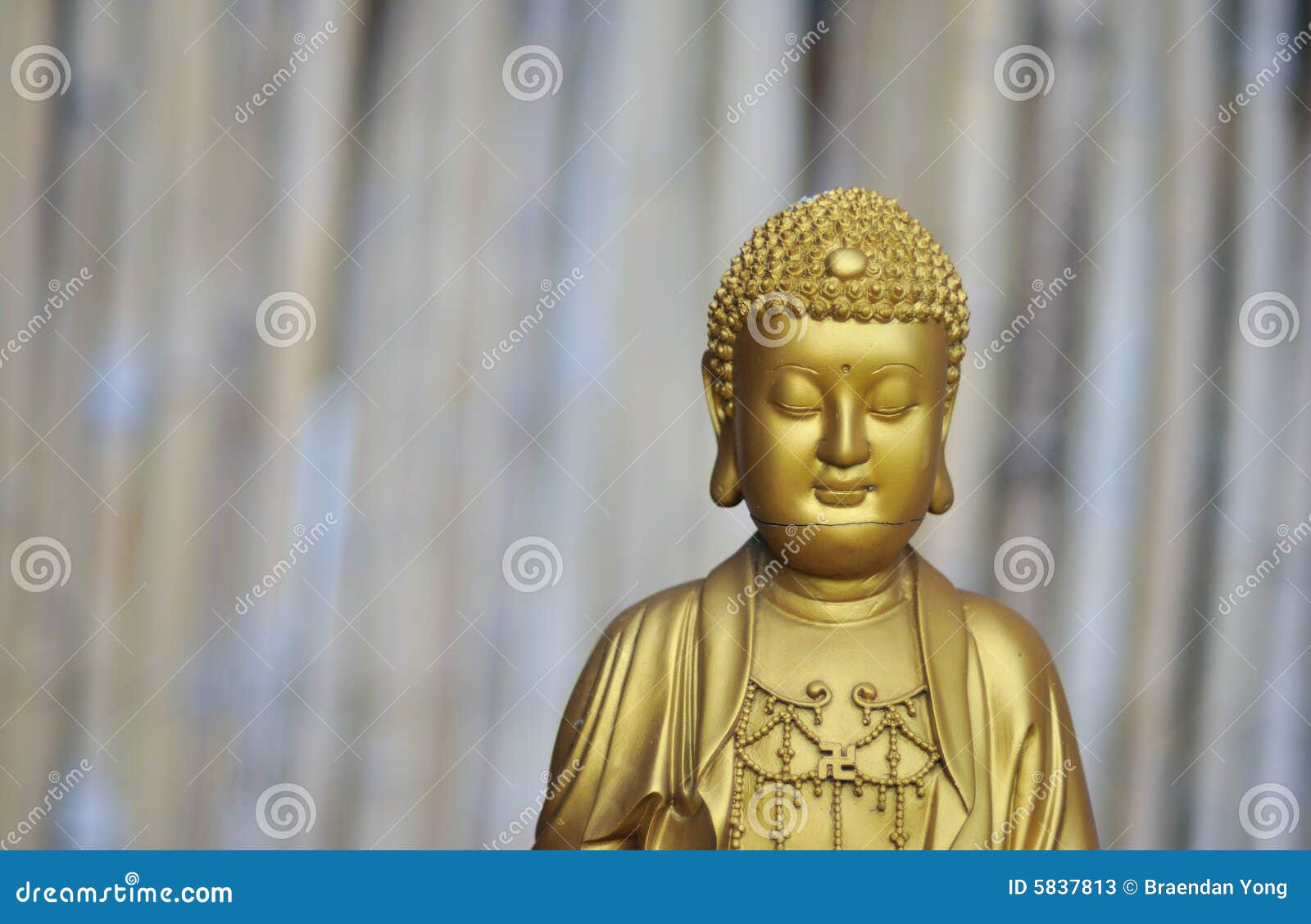 Zen Series 2 Imagen. Imagen: 5837813