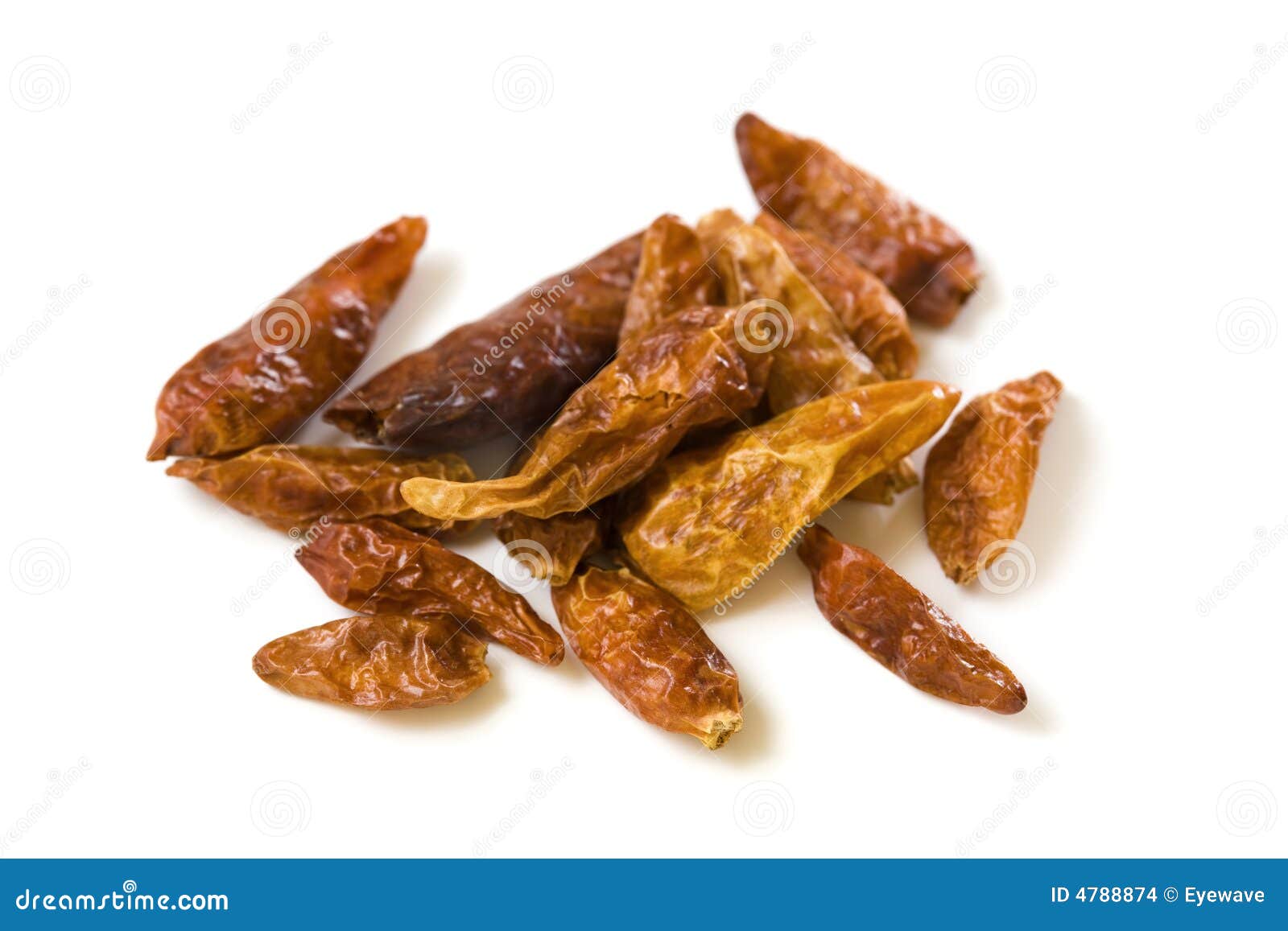 Serie De La Especia - Chiles Secados Foto de archivo - Imagen de blanco ...