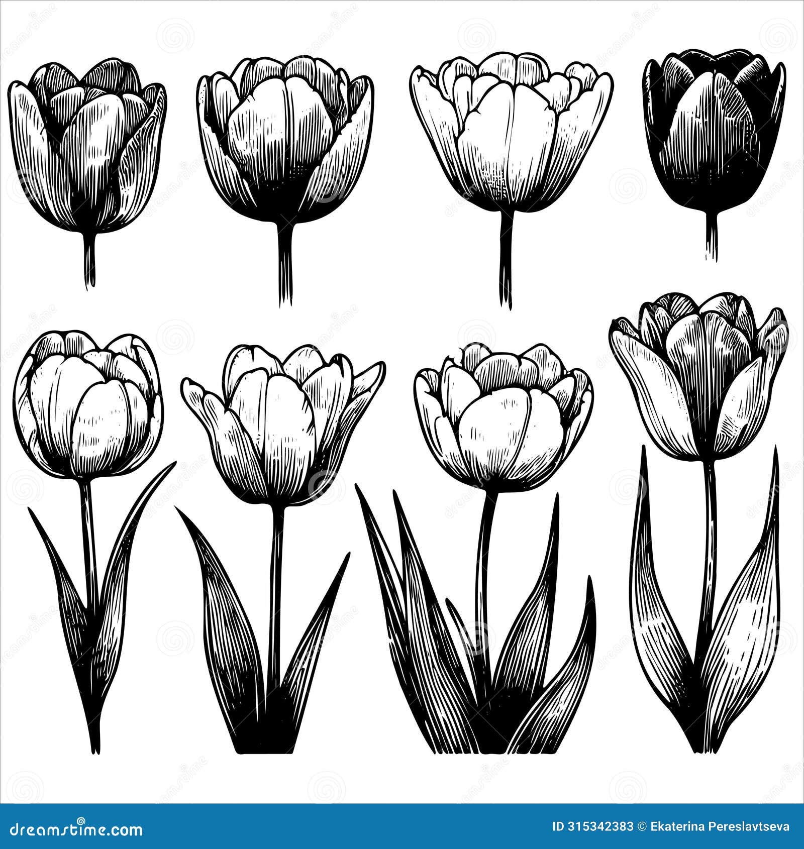 A Series of Black and White Drawings of Tulips Stock Vector ...