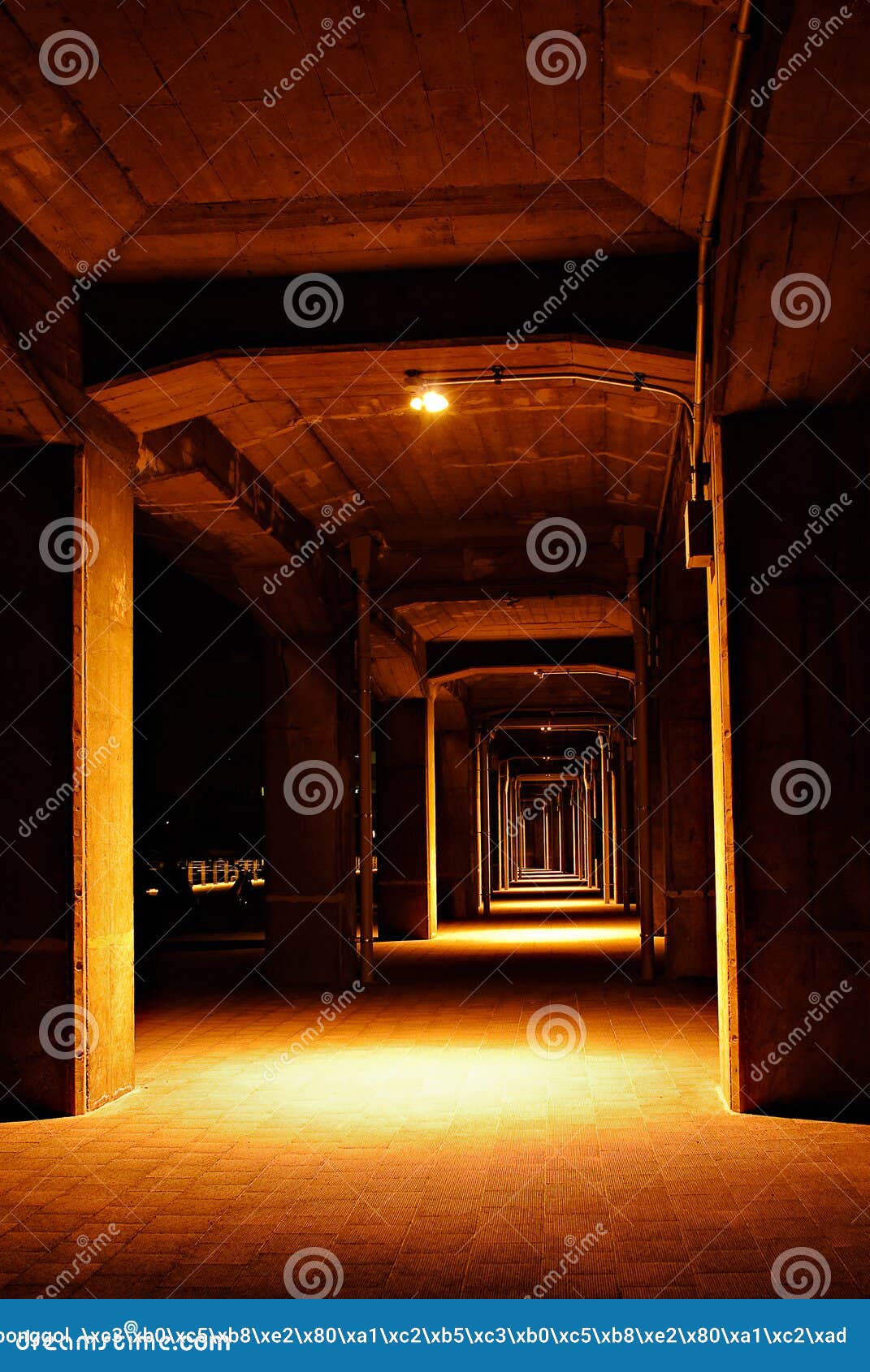 Series of Columns of the Elevated Walkway Stock Photo - Image of ...