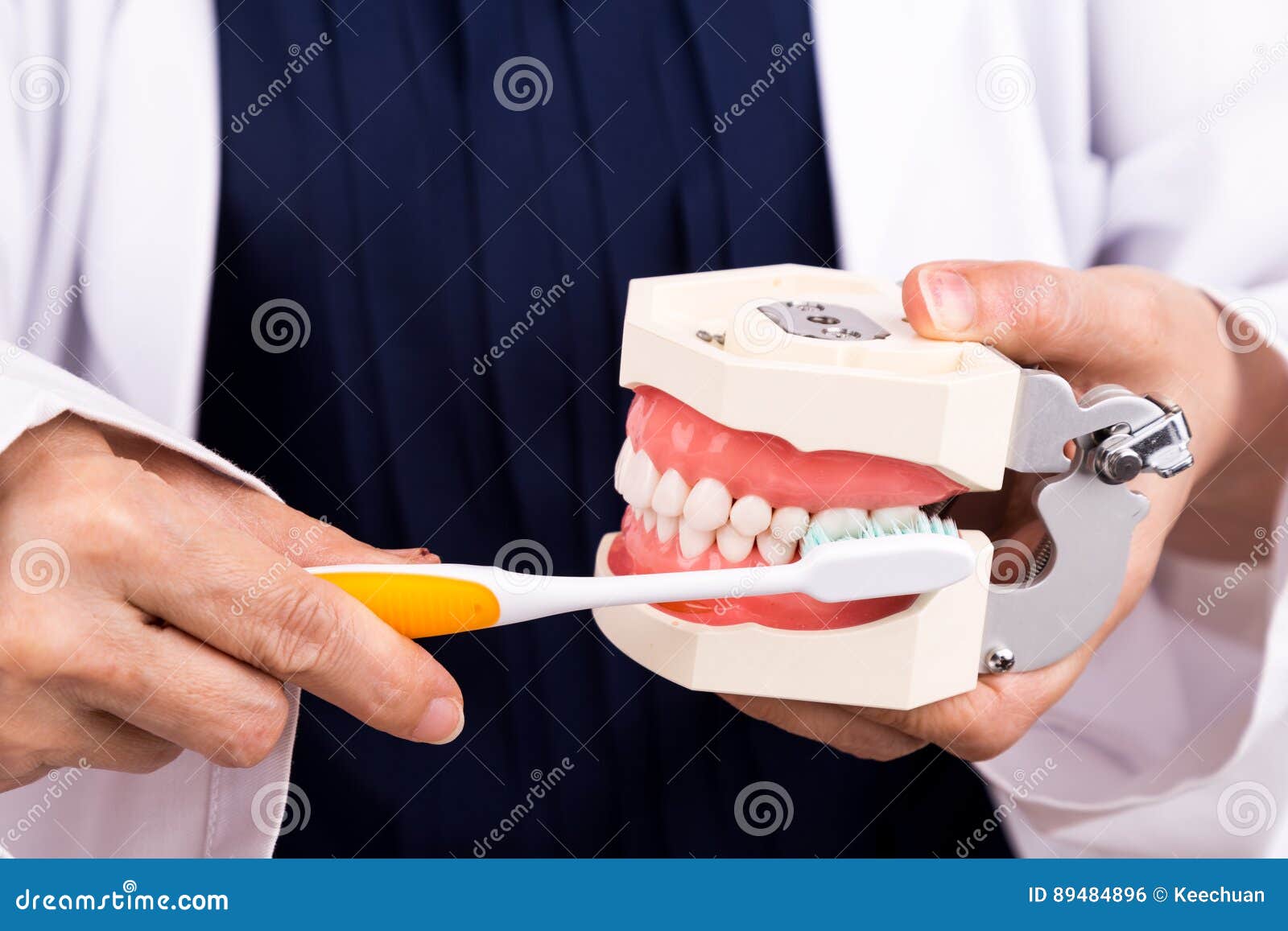 Series of Dentist Showing Correct Method of Brushing Teeth Stock Photo ... Series of Dentist Showing Correct Method of Brushing Teeth Stock Photo ...