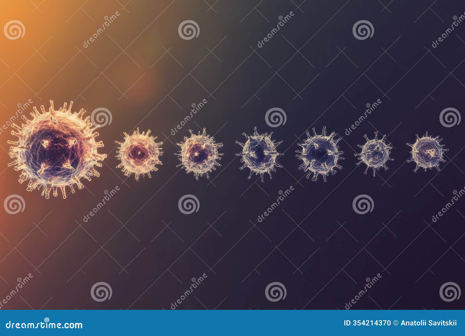Progression of Virus Forms from Basic To Complex Showing Structural ...