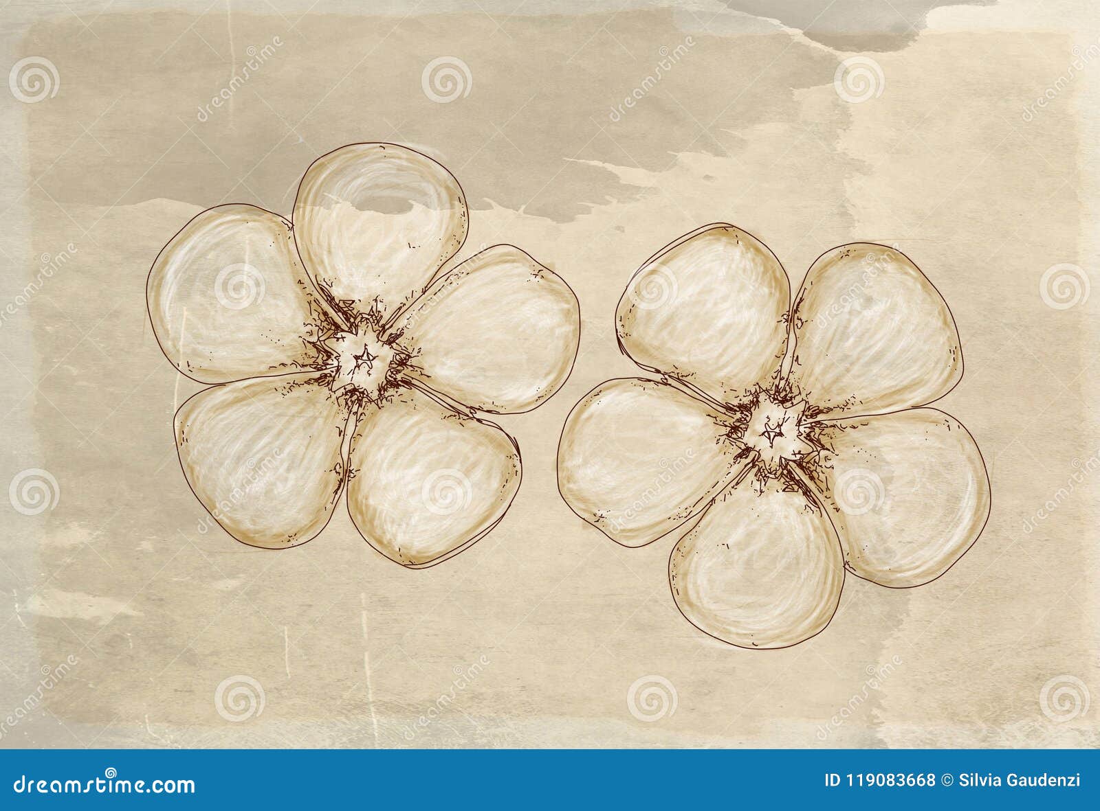 Series of Flowers, with Vintage Antique Base Stock Illustration ...
