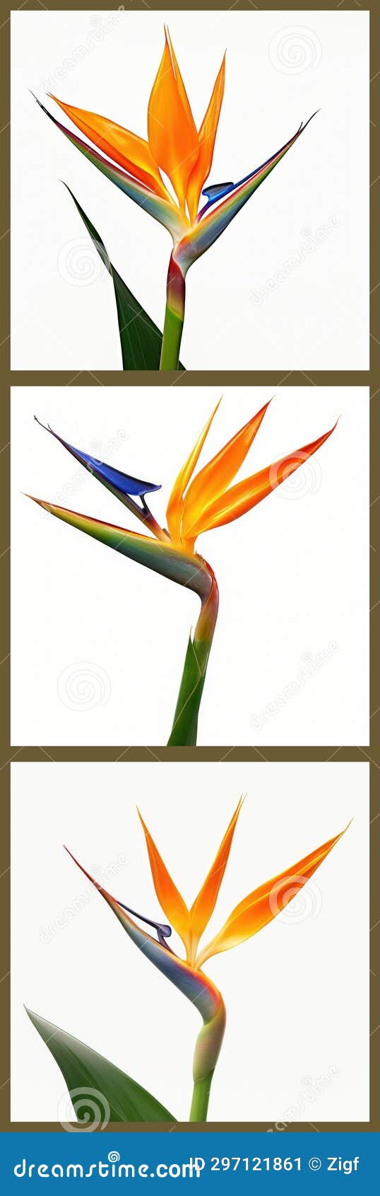 Series of Four Photos, Each Depicting Different Angle or View of Same ...