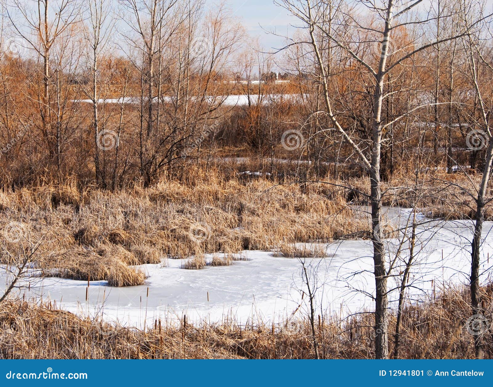 Series of Frozen Lakes and Ponds Stock Image - Image of trees, lake ...