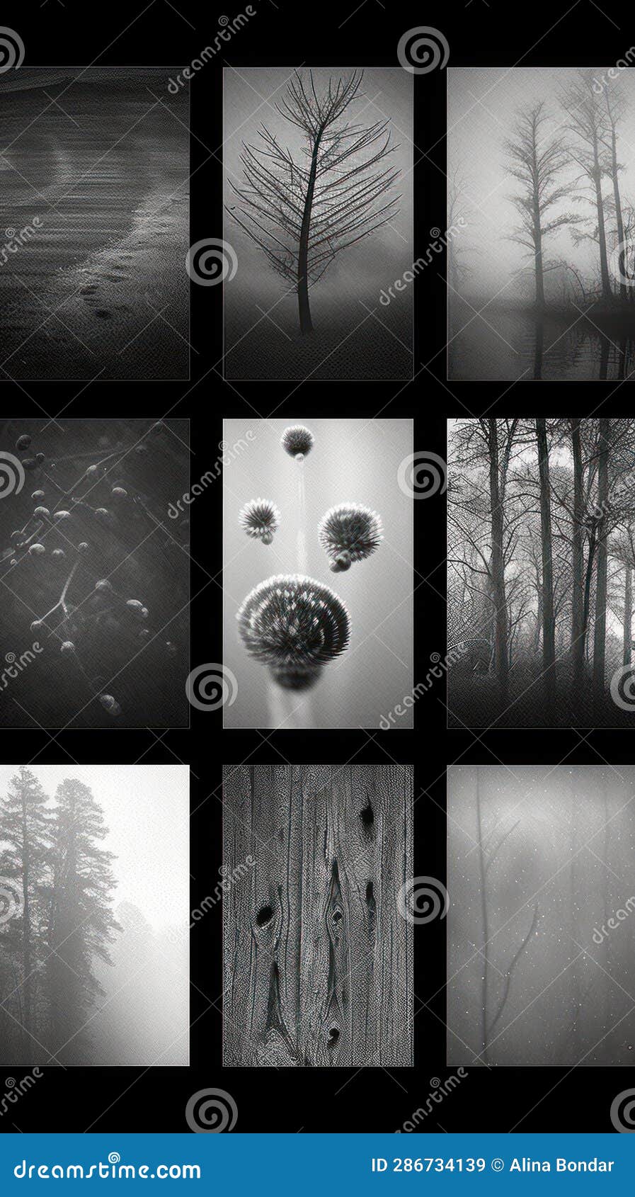 A Series Of Variations On The Same Image, Each One Showing A Different ...