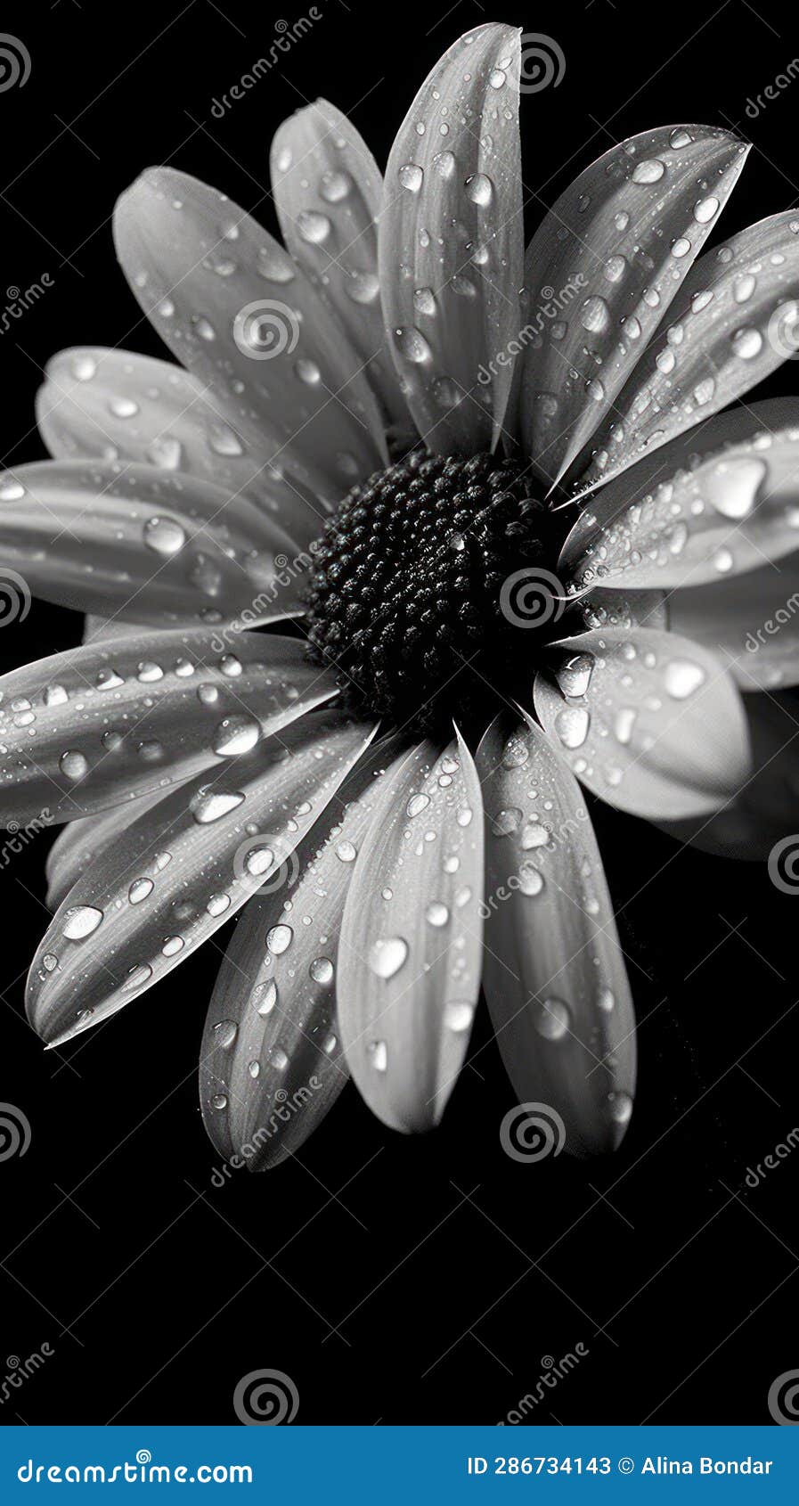 A Series Of Variations On The Same Image, Each One Showing A Different ...