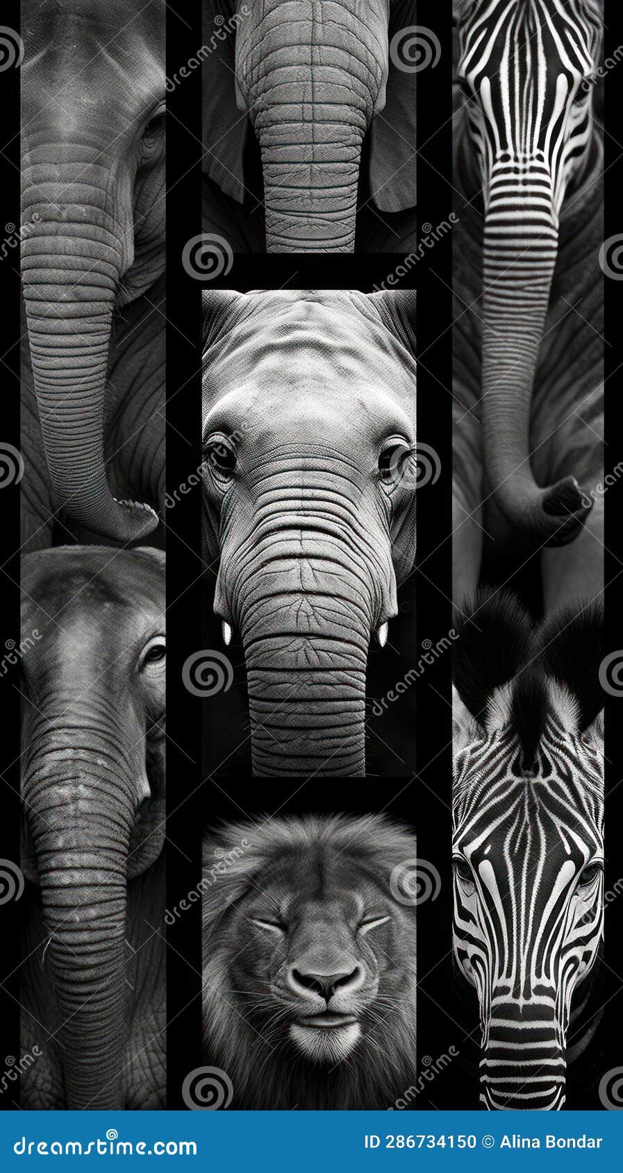 A Series Of Variations On The Same Image, Each One Showing A Different ...