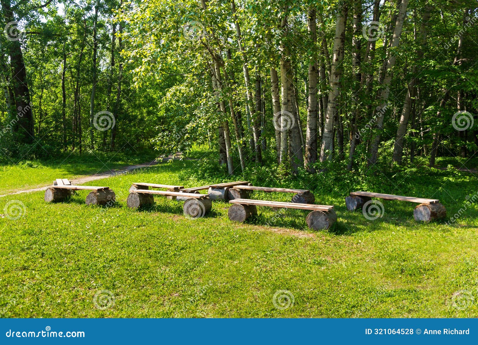 Series of Very Rustic Benches Made of Tree Trunks and Planks Stock ...