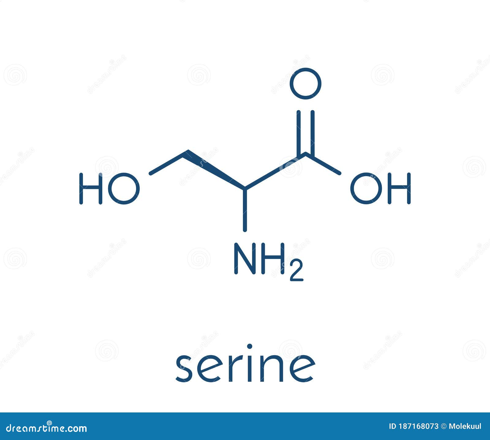 Serine, Ser Amino Acid Molecule. It Is Used In The Biosynthesis Of ...