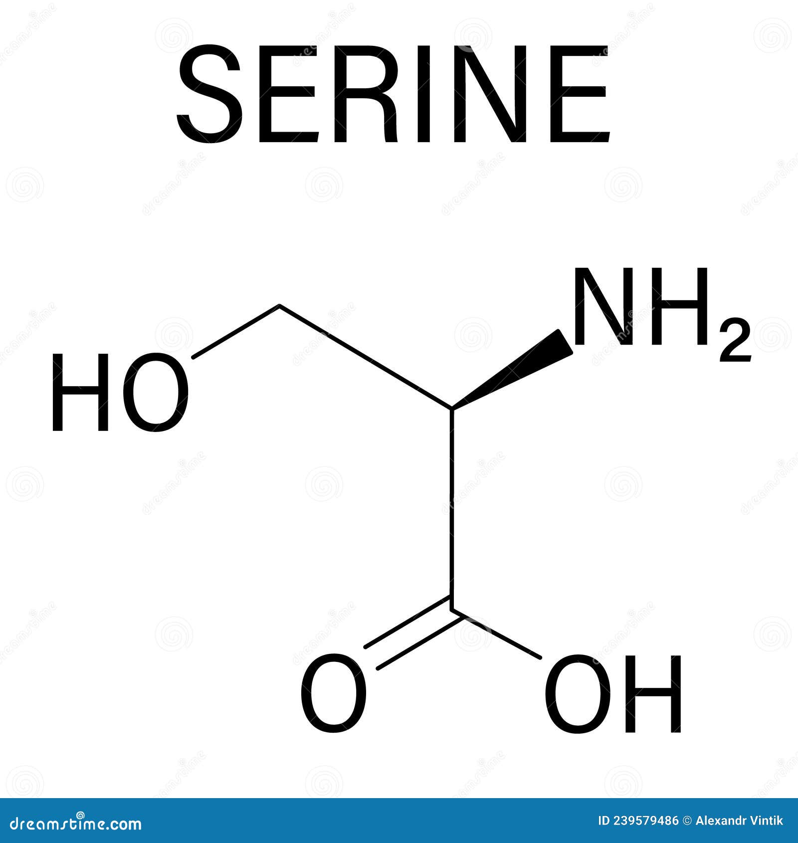 Serine or L-serine, Ser, S, Amino Acid Molecule. Skeletal Formula Stock ...