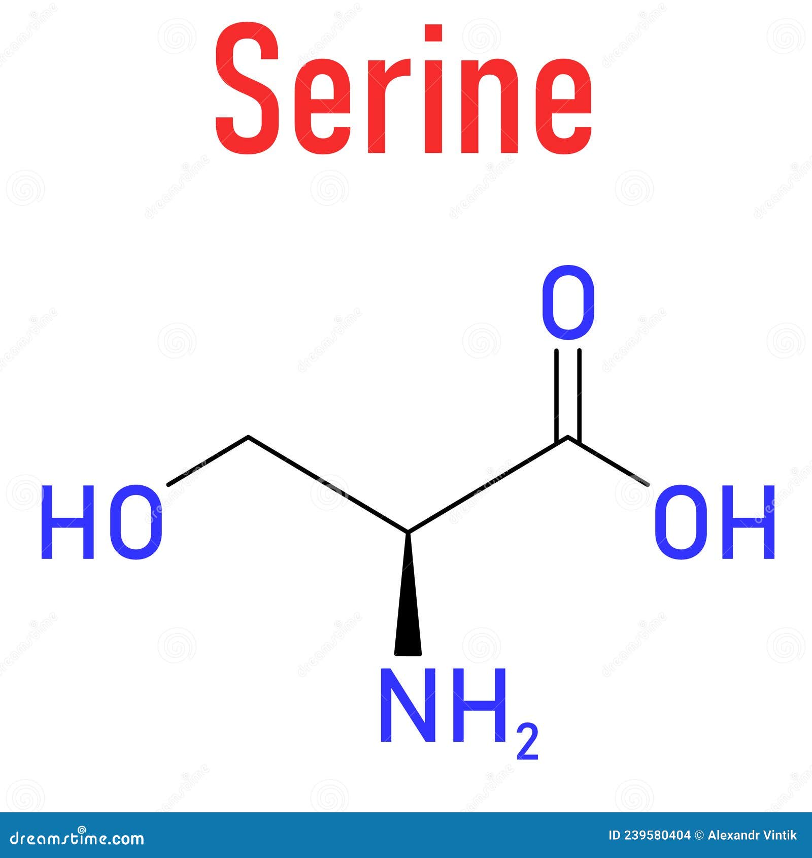 Serine, Ser Amino Acid Molecule. It Is Used In The Biosynthesis Of ...