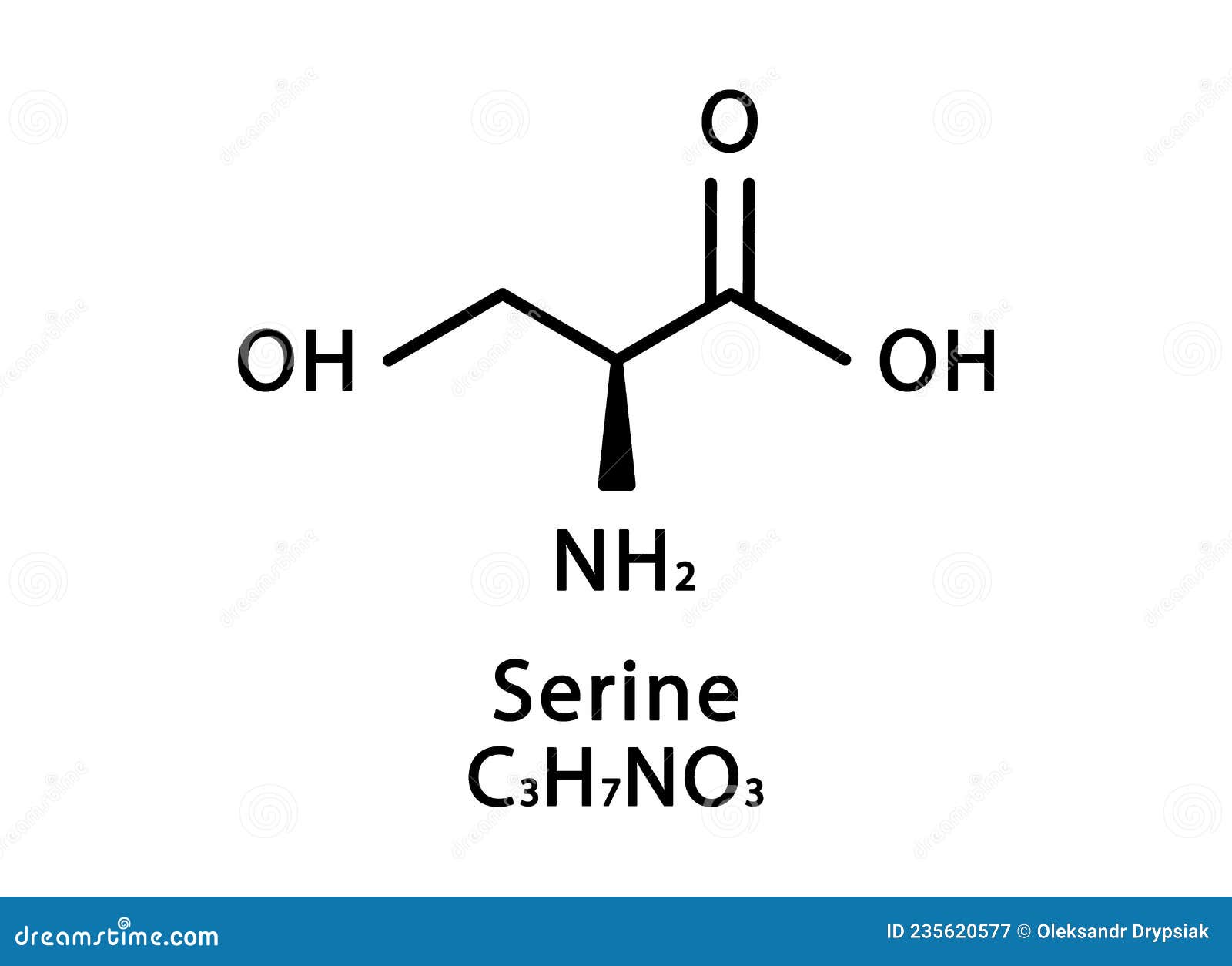 Serine Molecular Structure. Serine Skeletal Chemical Formula. Chemical ...