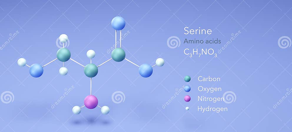 Serine, Molecular Structures, Amino Acid, 3d Model, Structural Chemical ...
